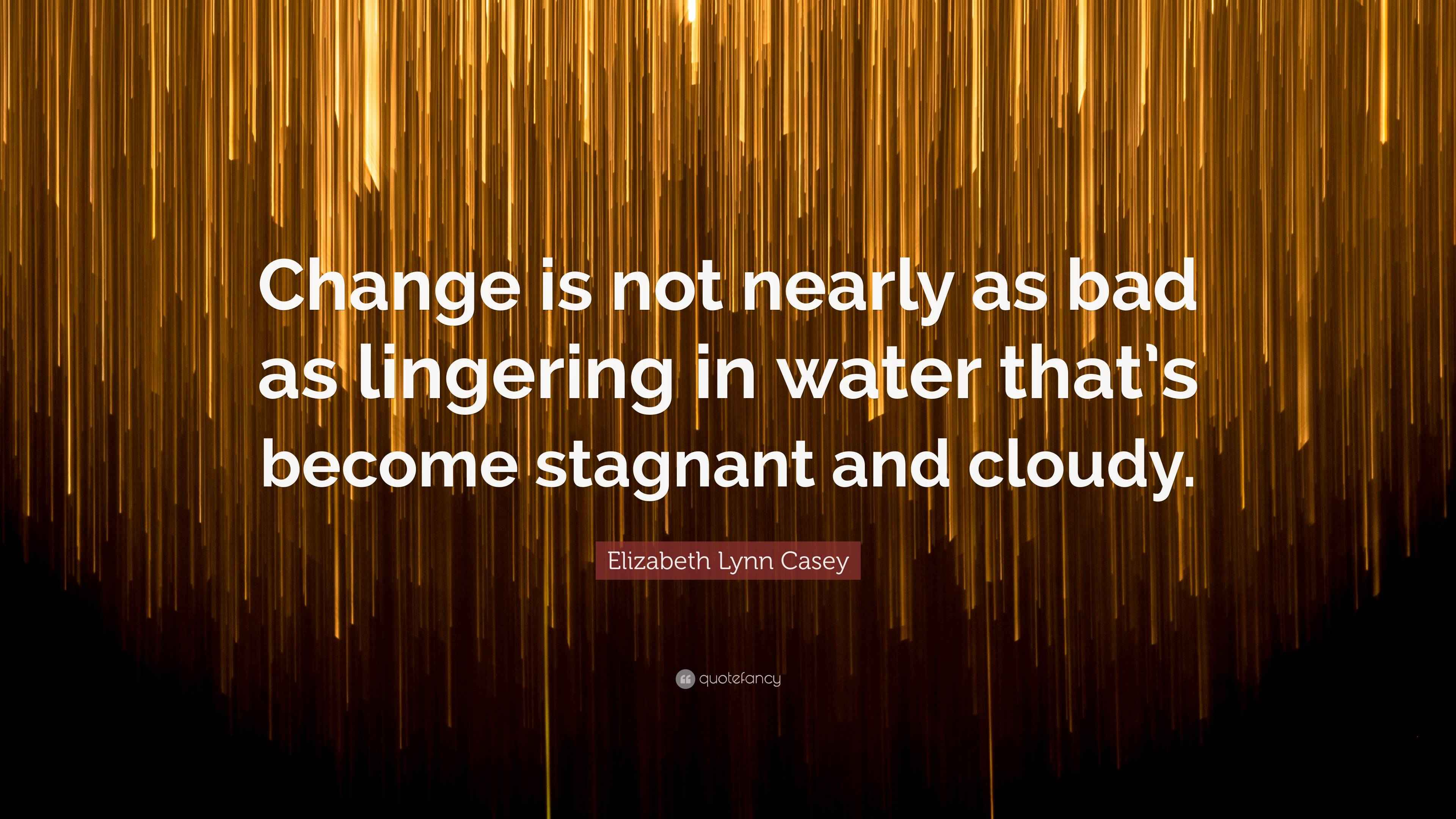 Elizabeth Lynn Casey Quote: “Change is not nearly as bad as lingering ...