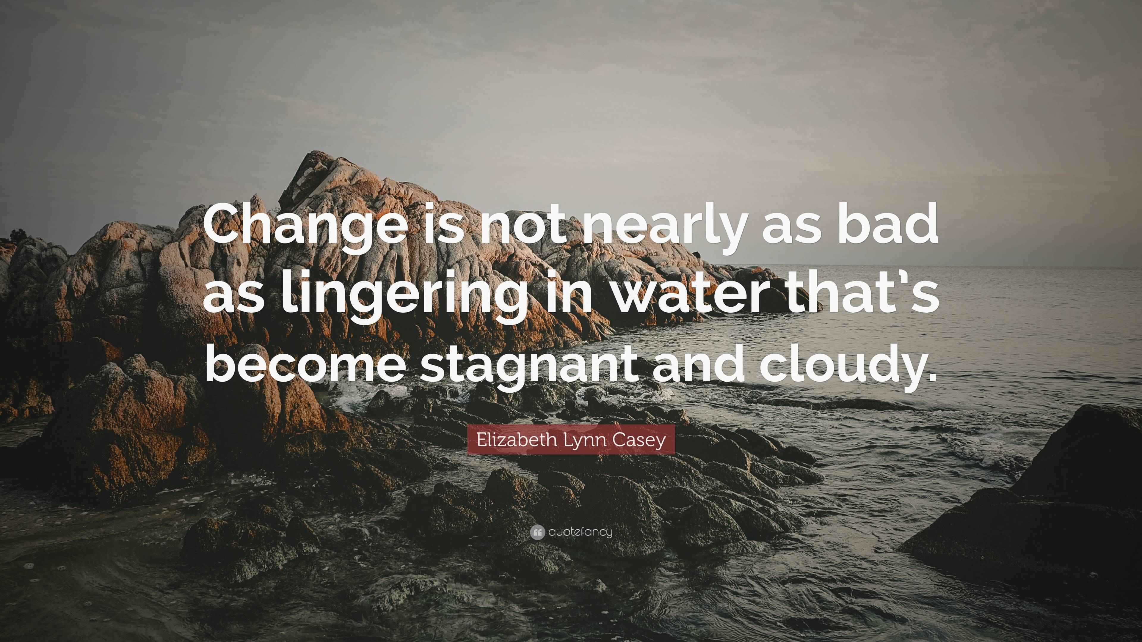 Elizabeth Lynn Casey Quote: “Change is not nearly as bad as lingering ...
