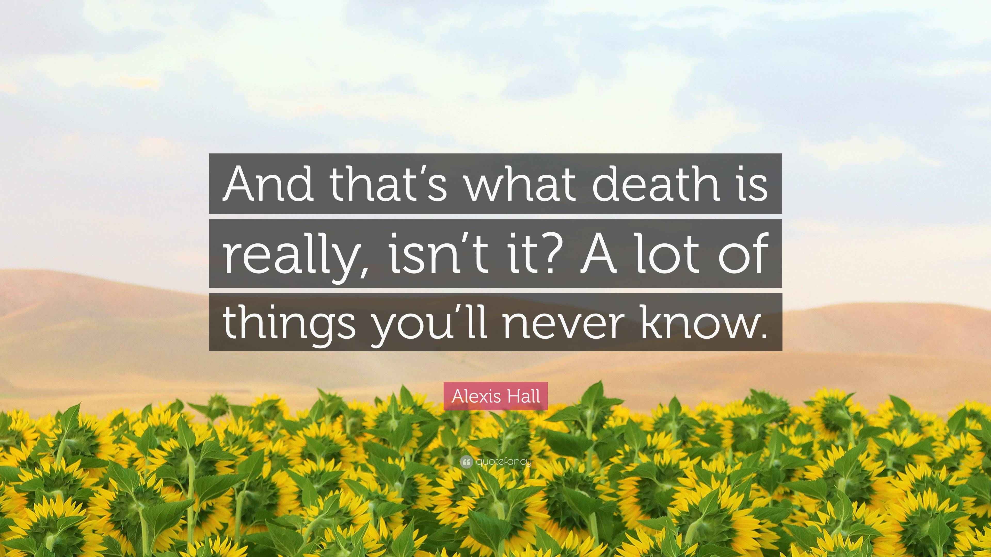 Alexis Hall Quote: “And that’s what death is really, isn’t it? A lot of ...