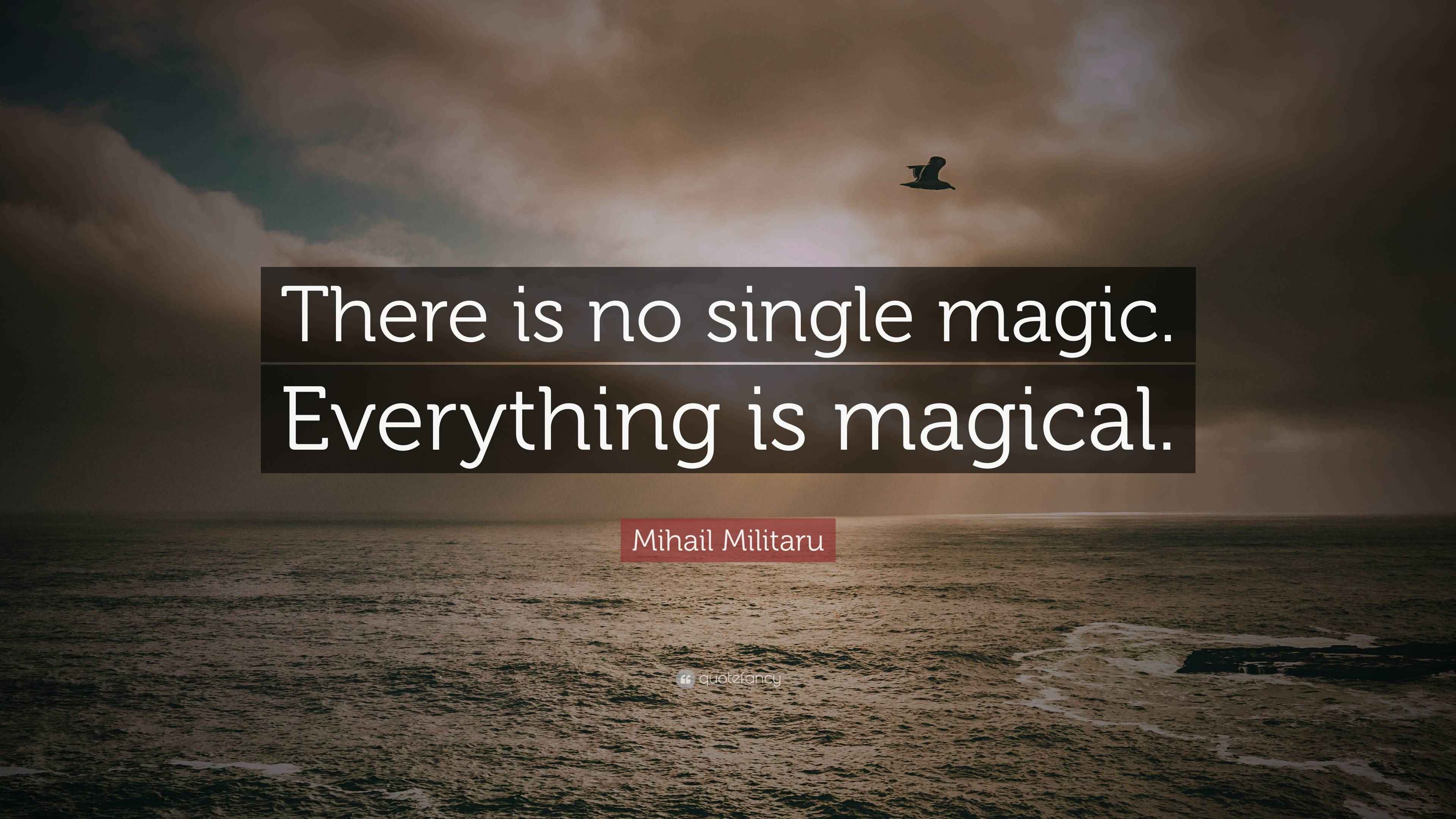 Mihail Militaru Quote: “There is no single magic. Everything is magical.”