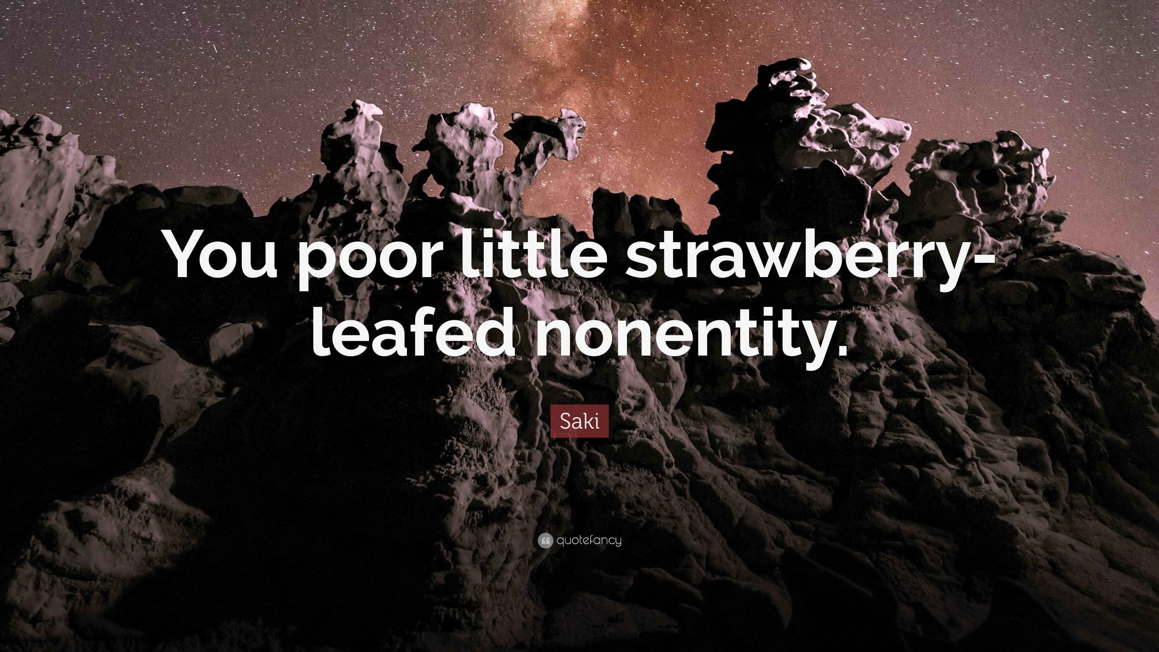 Saki Quote: “You poor little strawberry-leafed nonentity.”