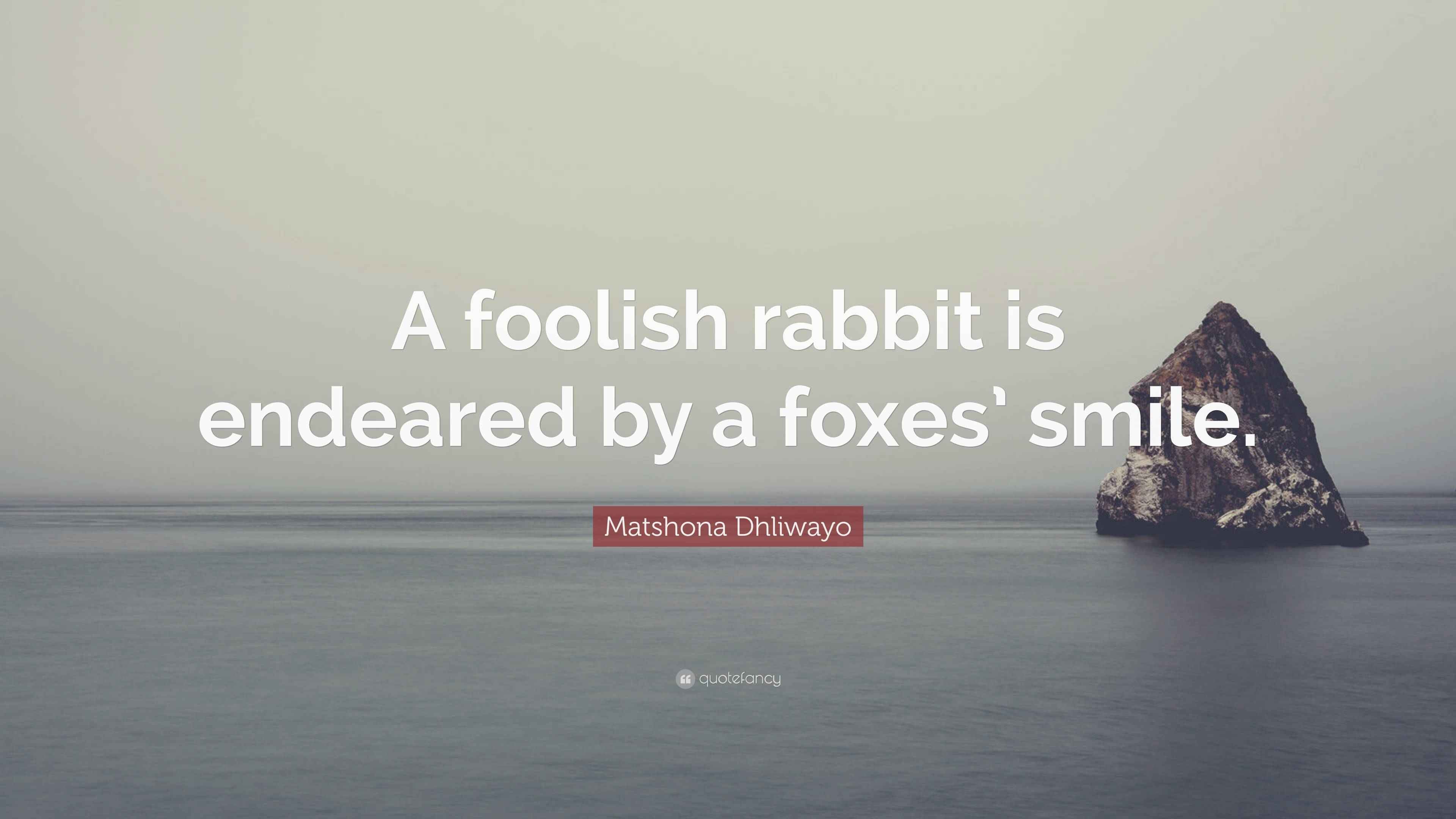 Matshona Dhliwayo Quote: “A foolish rabbit is endeared by a foxes’ smile.”