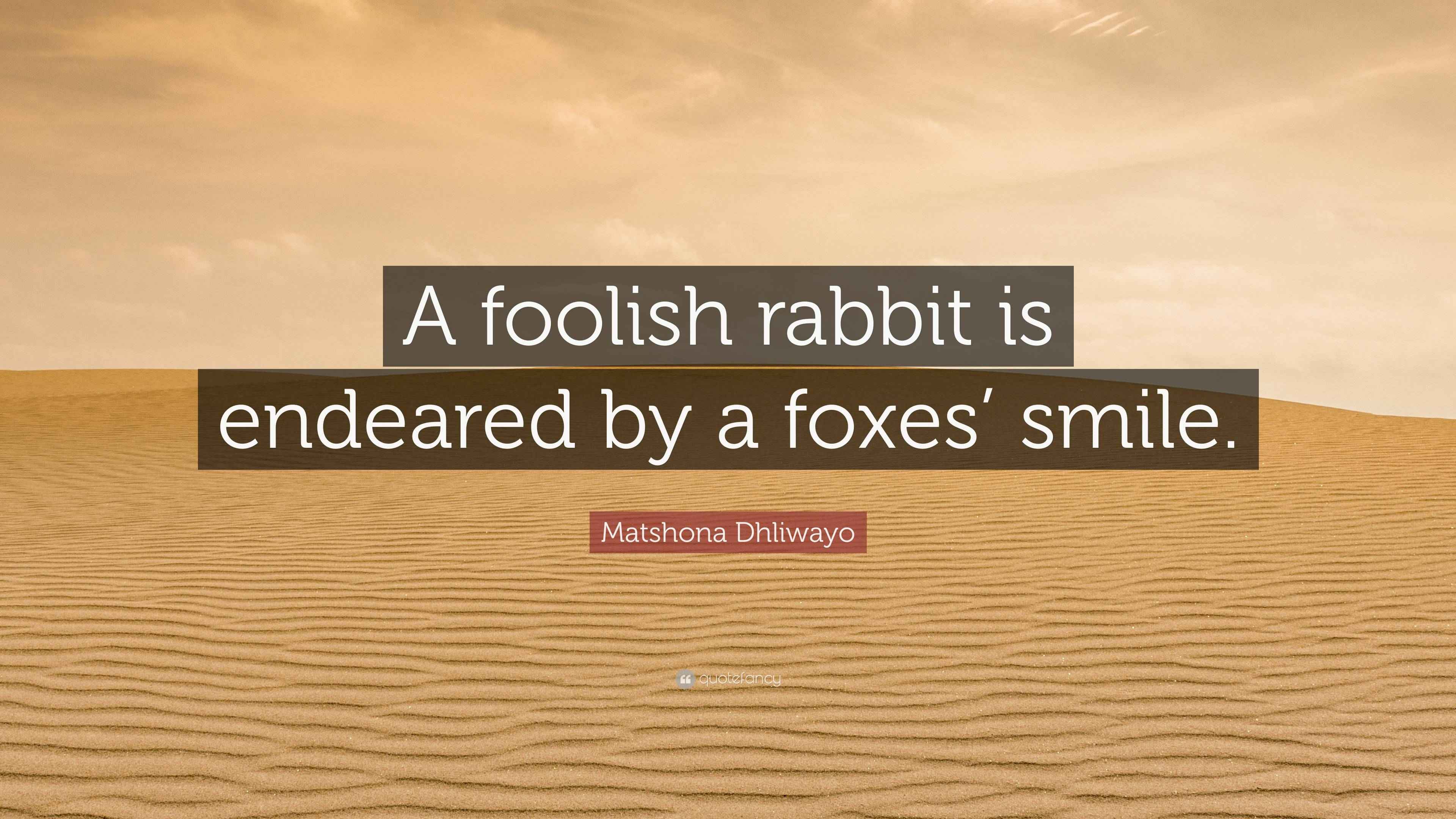 Matshona Dhliwayo Quote: “A foolish rabbit is endeared by a foxes’ smile.”