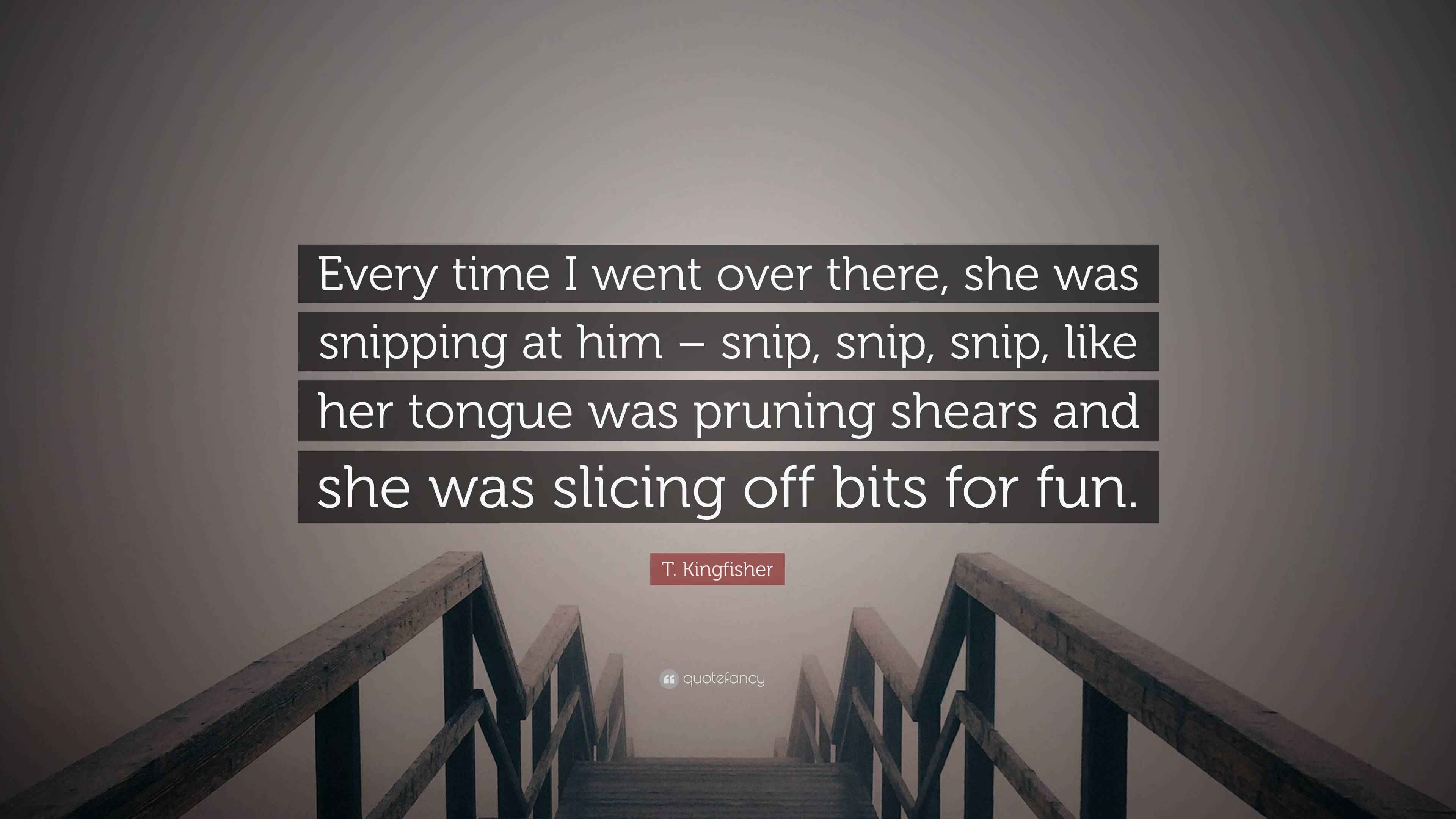 T. Kingfisher Quote: “Every time I went over there, she was snipping at ...