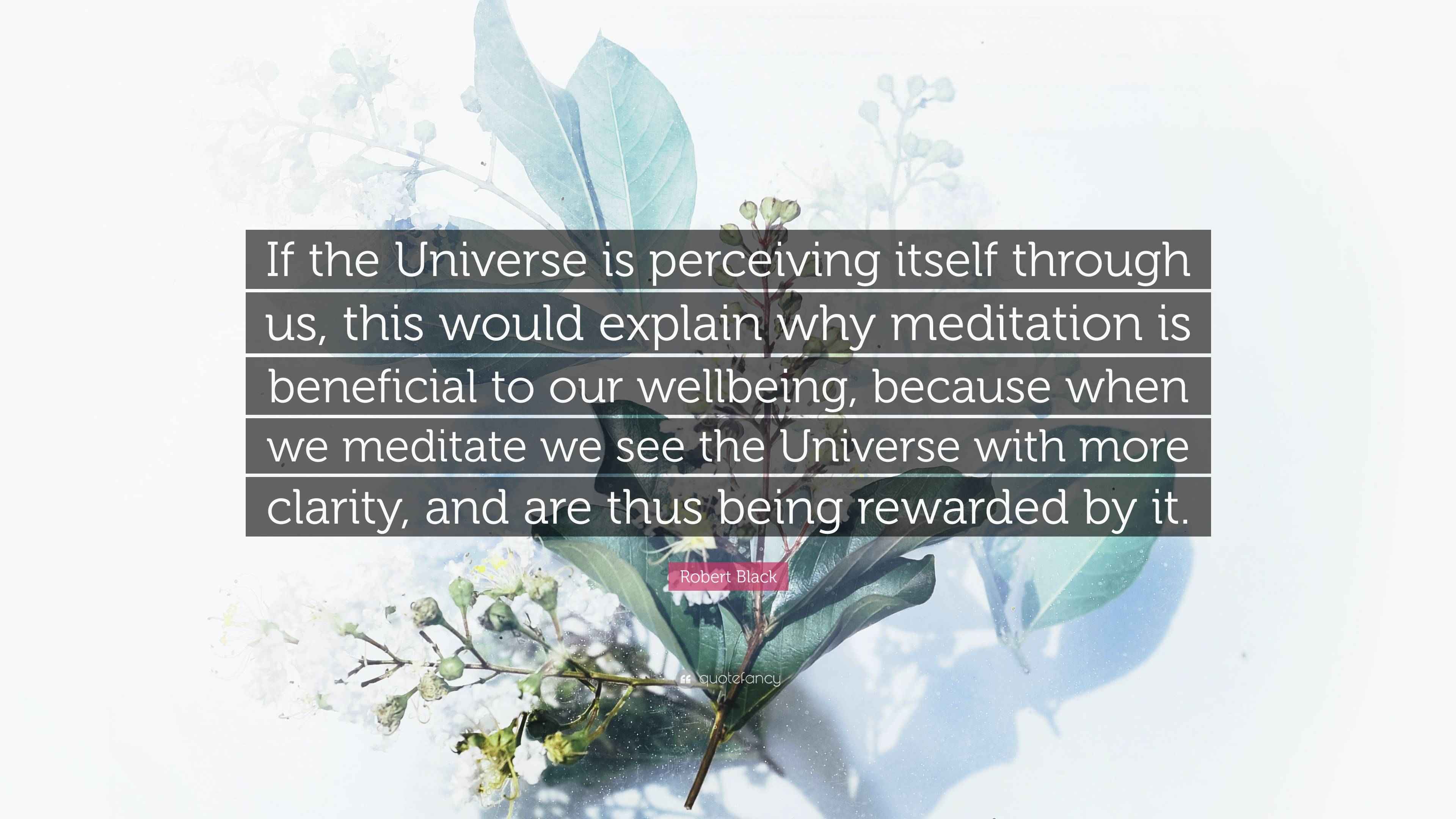 Robert Black Quote: “If the Universe is perceiving itself through us ...