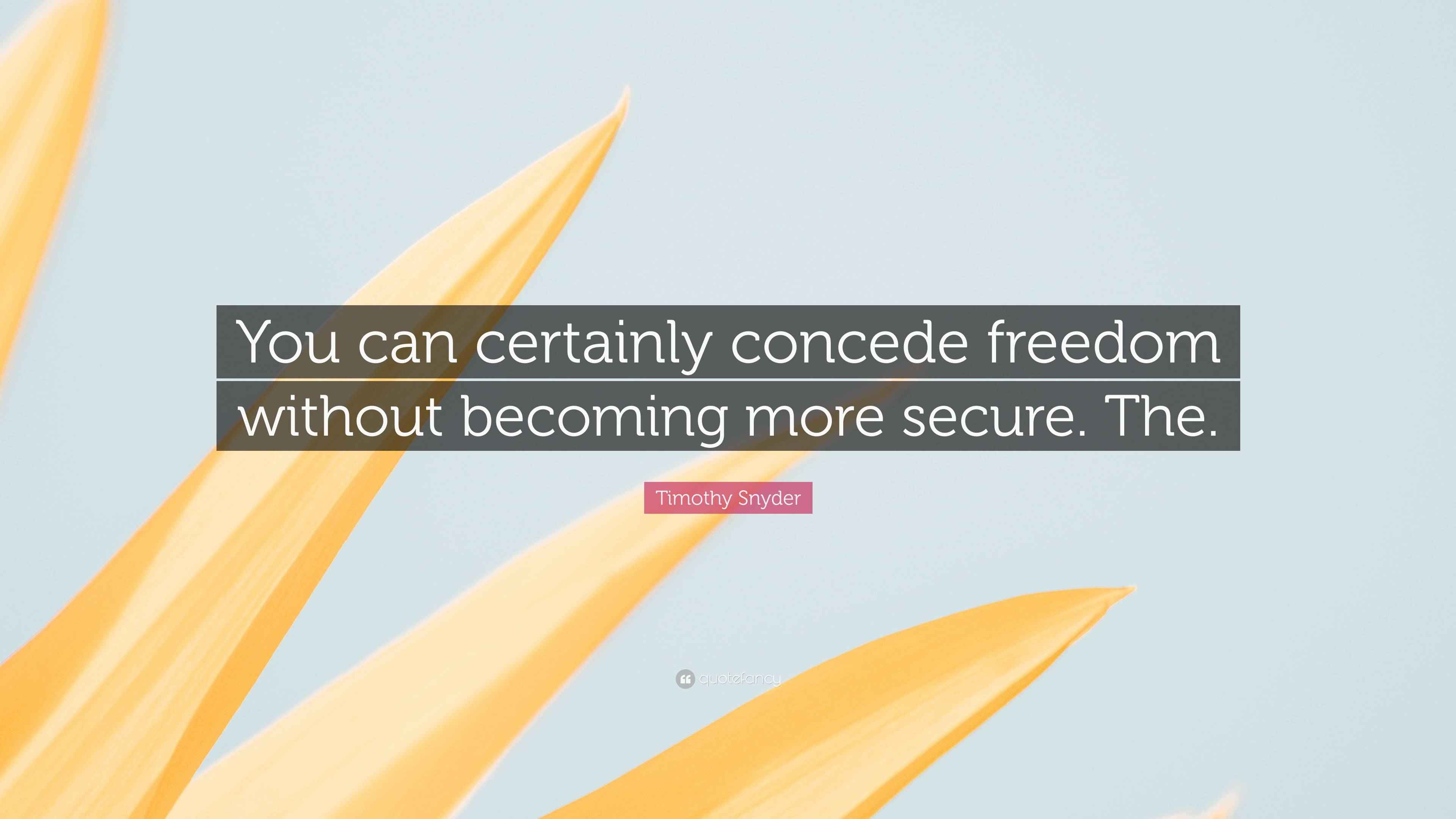 Timothy Snyder Quote: “You can certainly concede freedom without ...