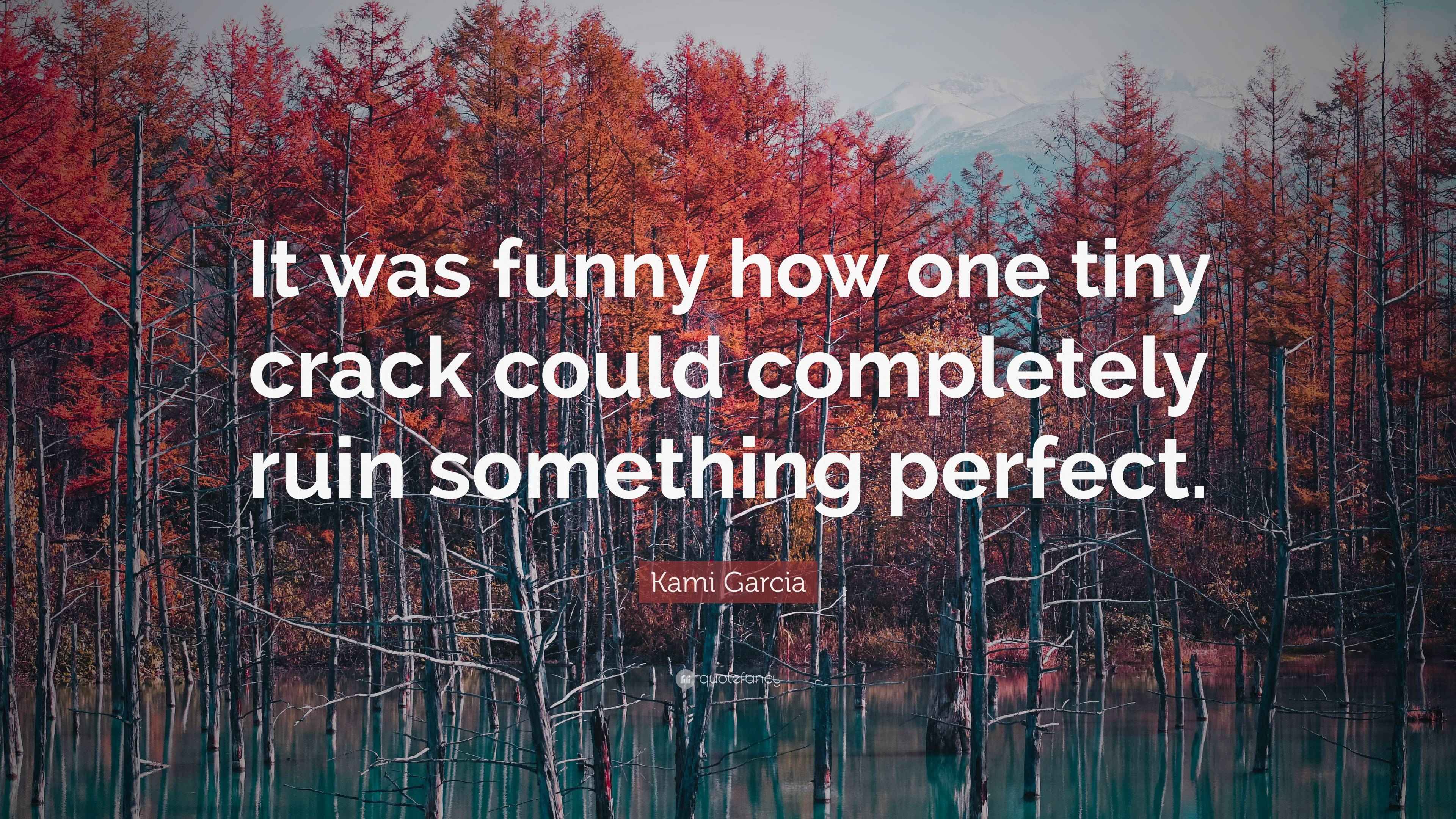 Kami Garcia Quote: “It was funny how one tiny crack could completely ...