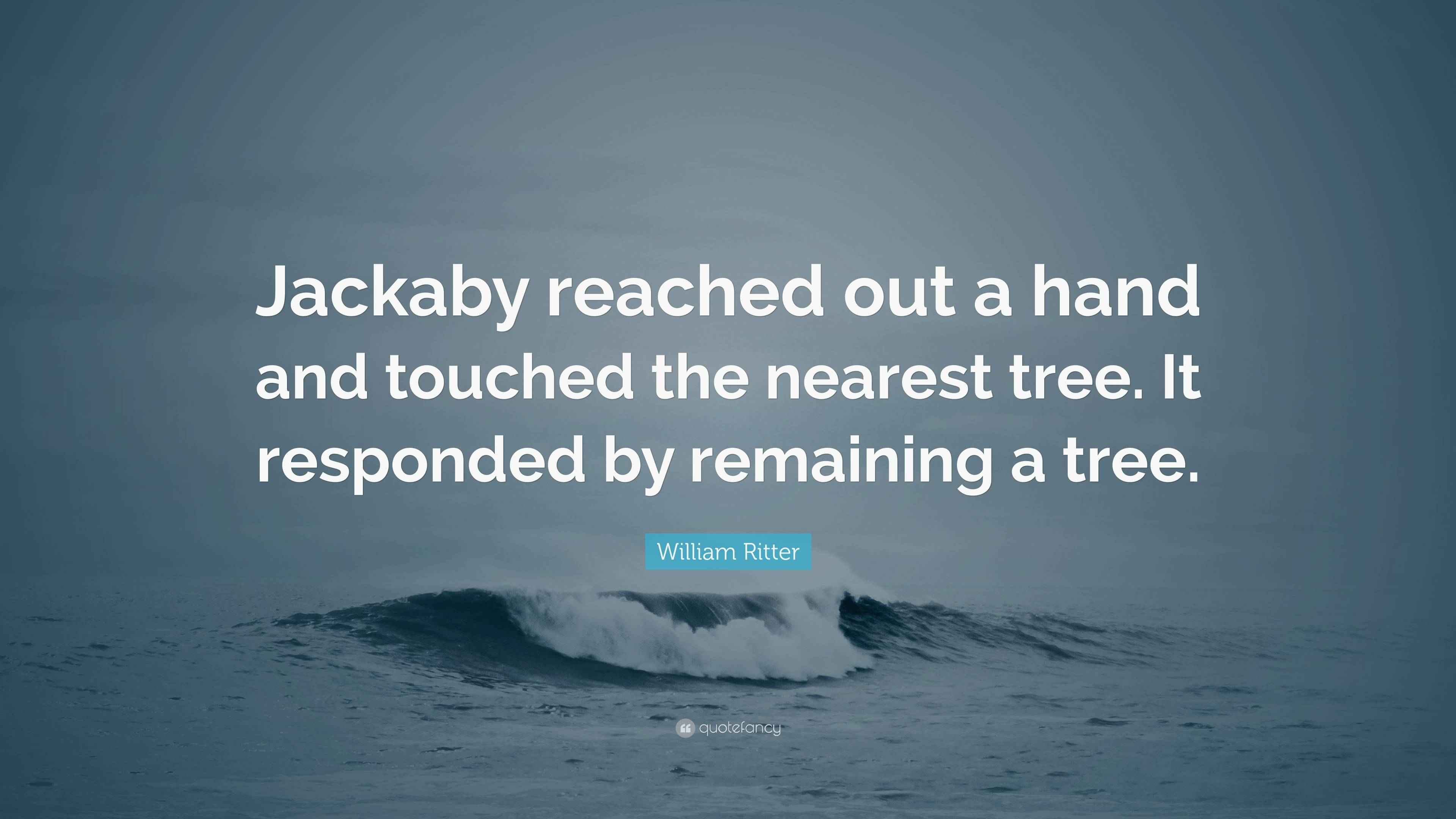 William Ritter Quote: “Jackaby reached out a hand and touched the ...