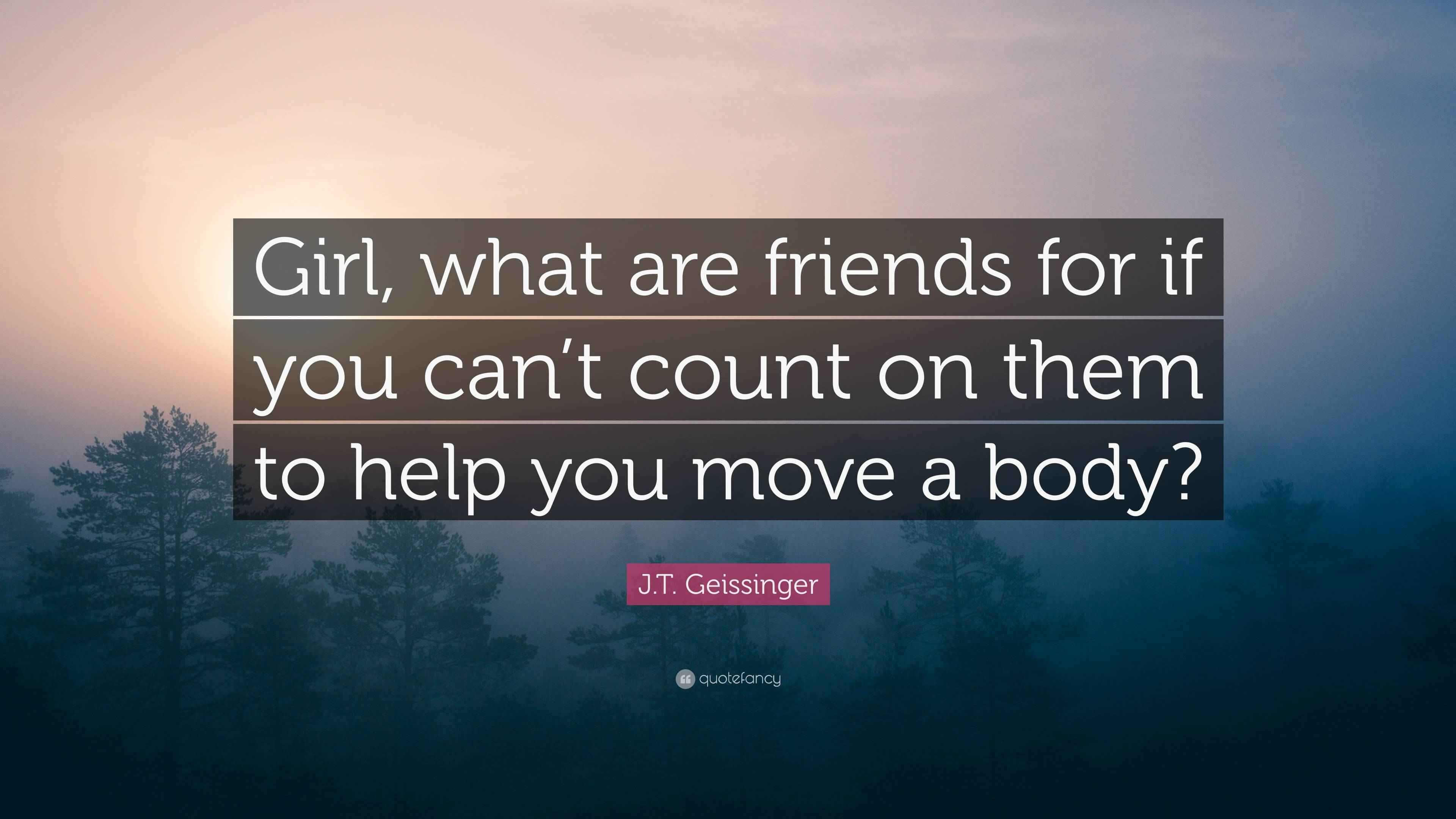 J.T. Geissinger Quote: “Girl, what are friends for if you can’t count ...