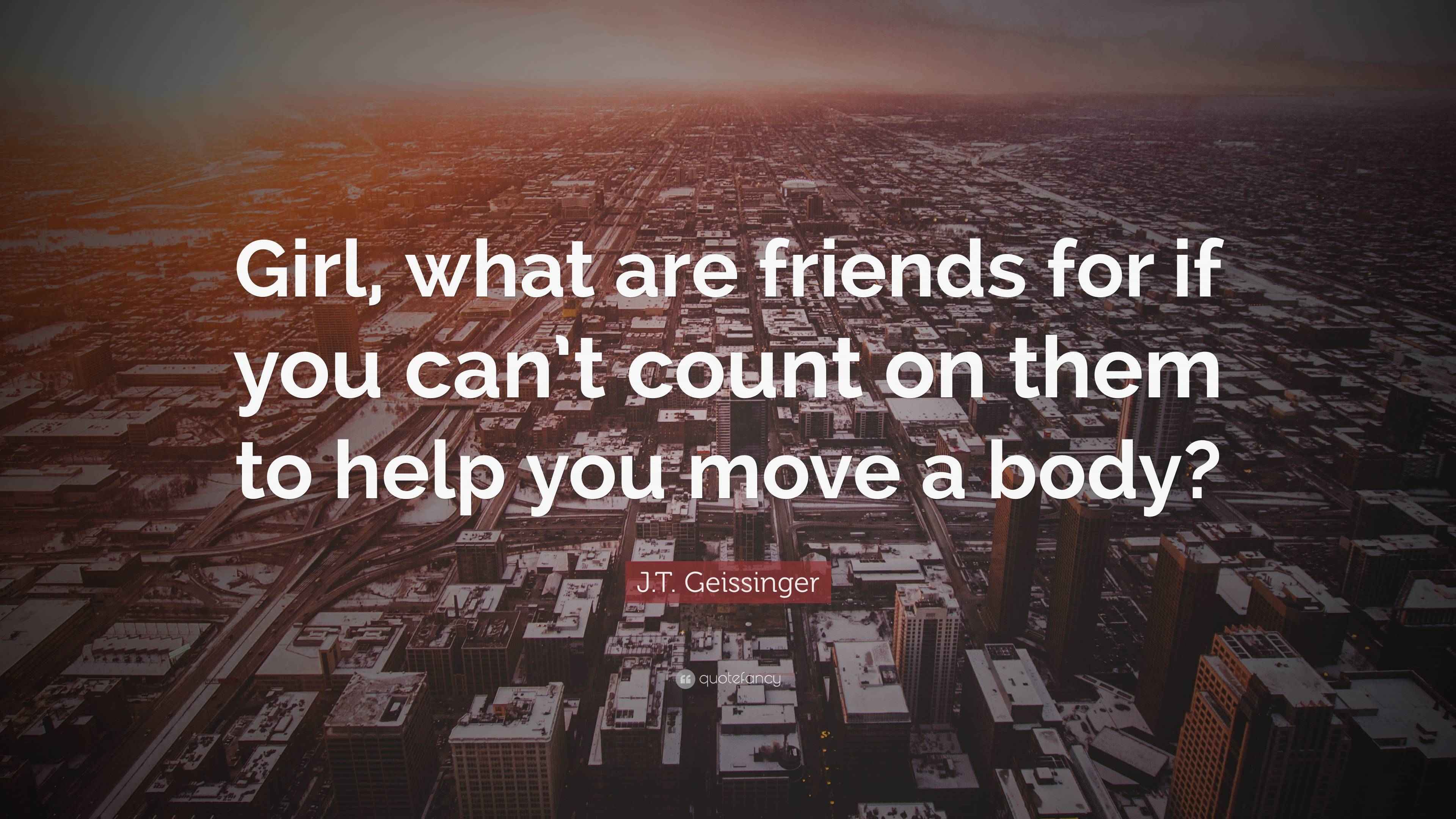 J.T. Geissinger Quote: “Girl, what are friends for if you can’t count ...