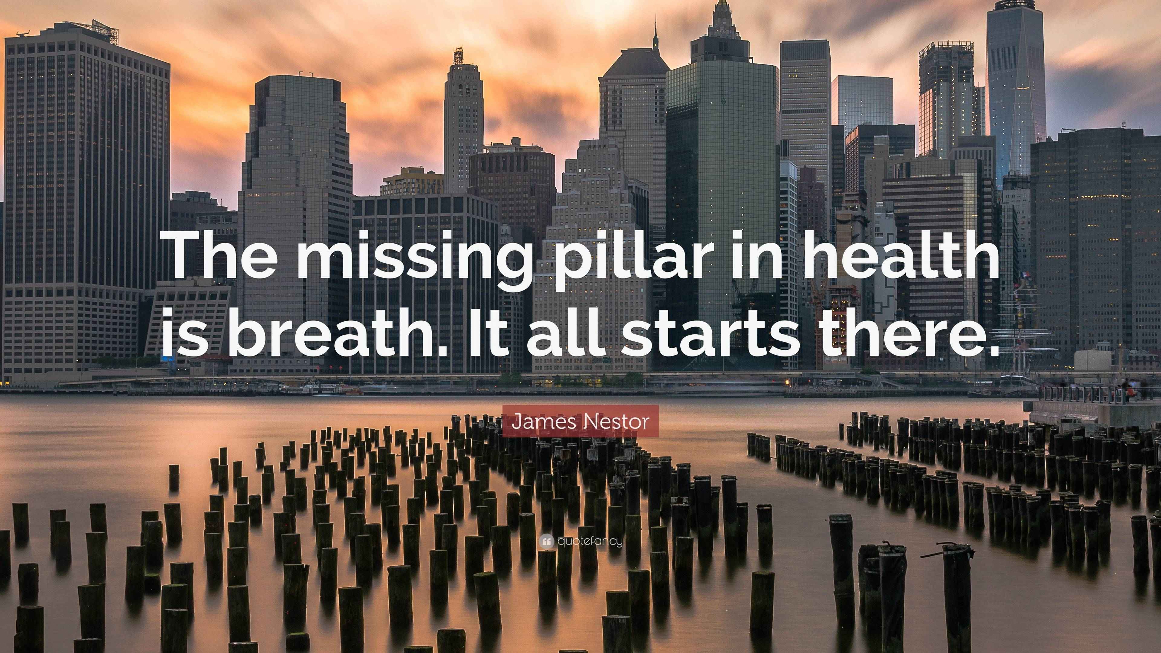 James Nestor Quote: “The missing pillar in health is breath. It all ...