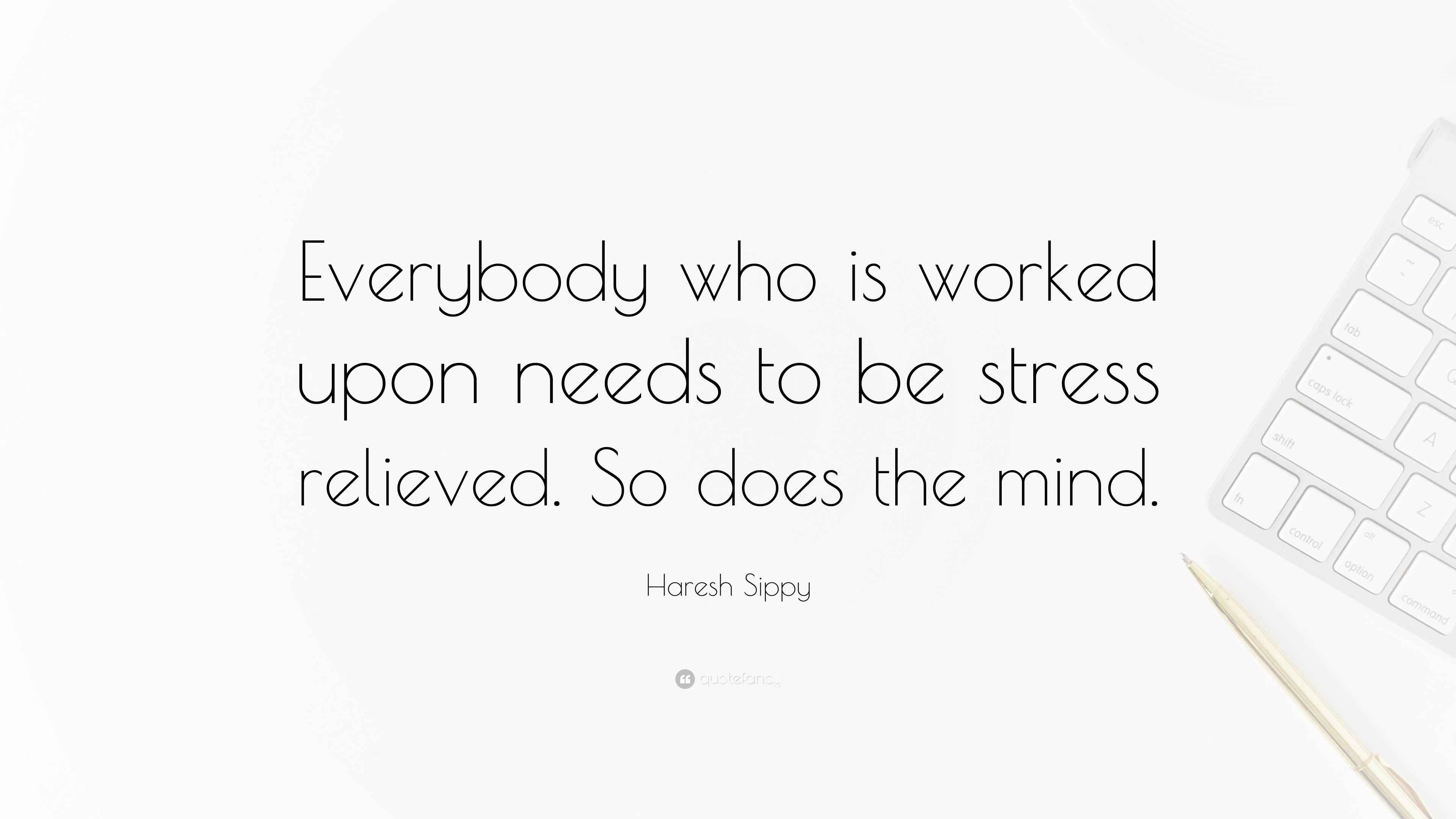 Haresh Sippy Quote: “Everybody who is worked upon needs to be stress ...