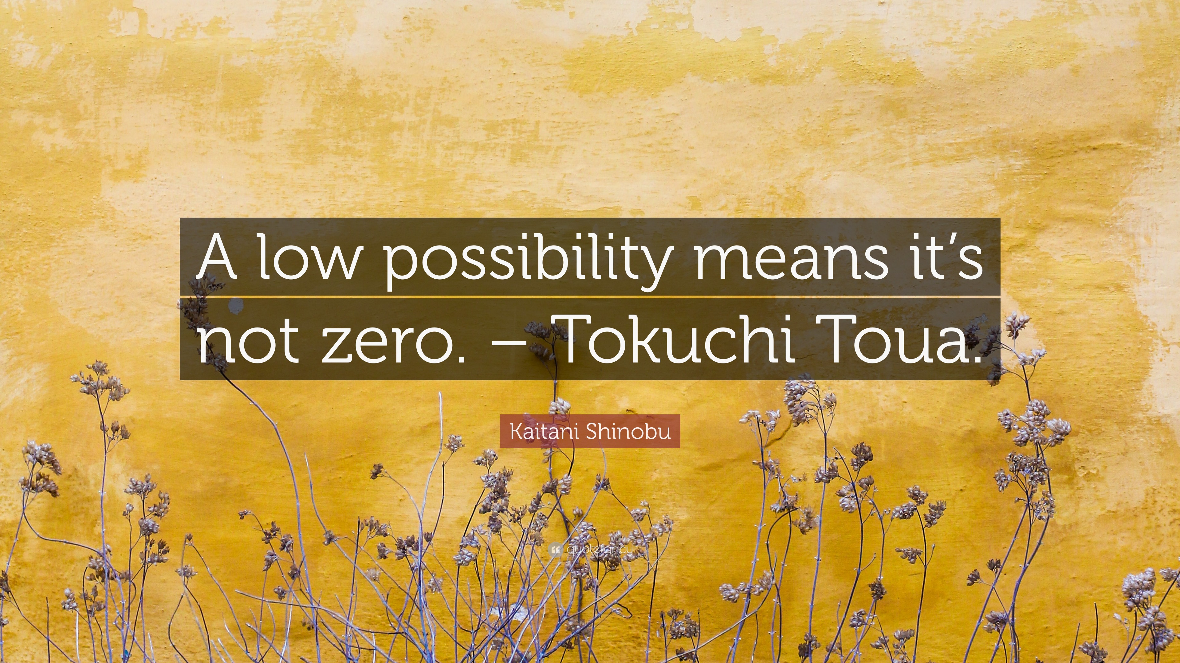 Kaitani Shinobu Quote: “A low possibility means it’s not zero ...
