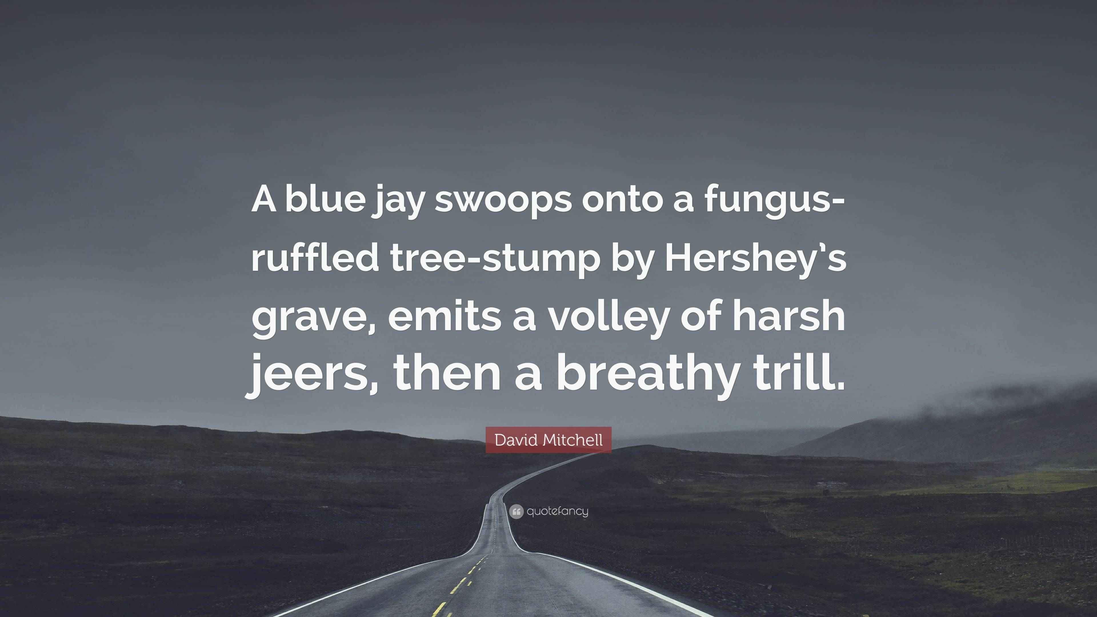 David Mitchell Quote: “A blue jay swoops onto a fungus-ruffled tree ...