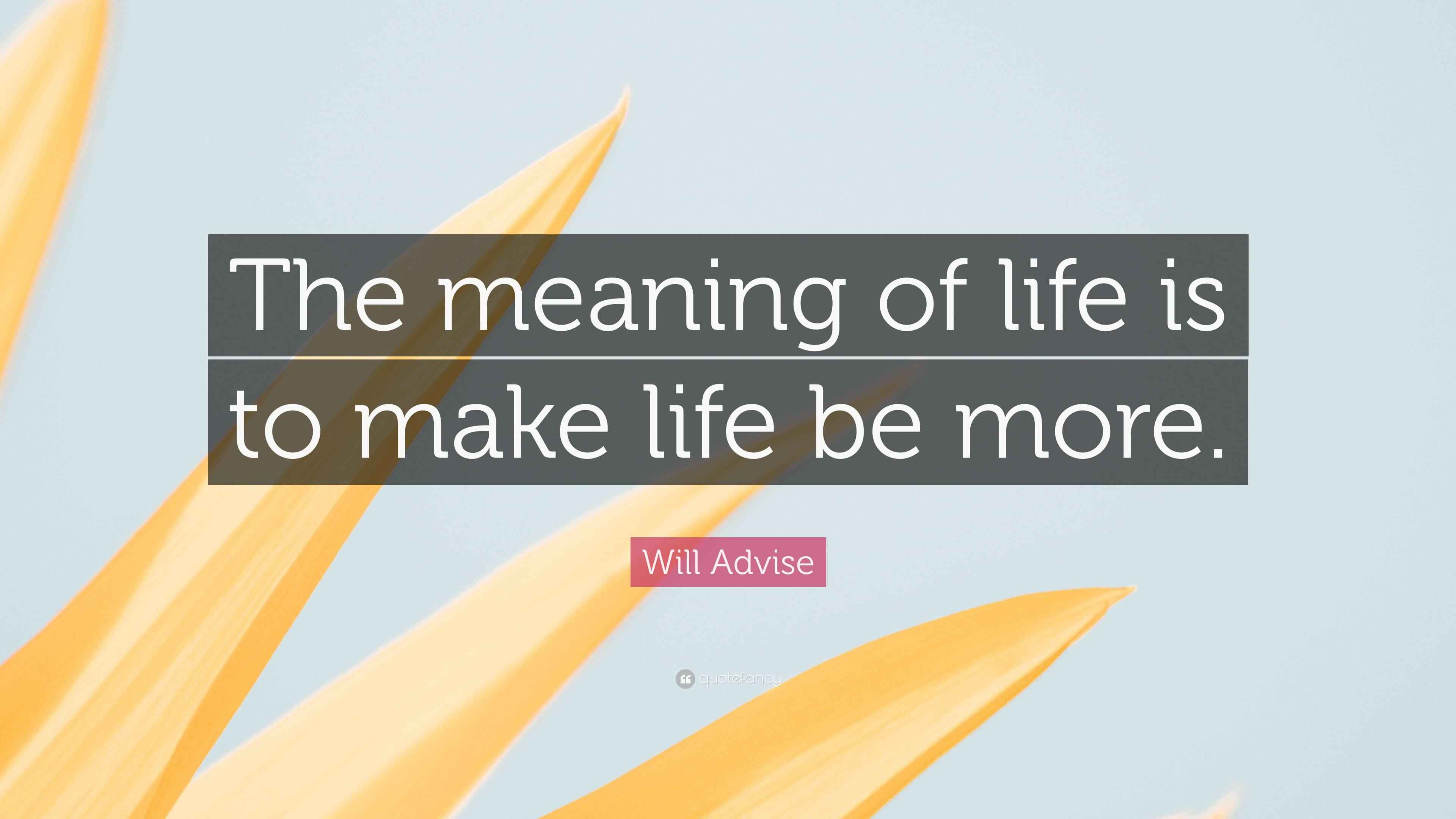Will Advise Quote: “The meaning of life is to make life be more.”