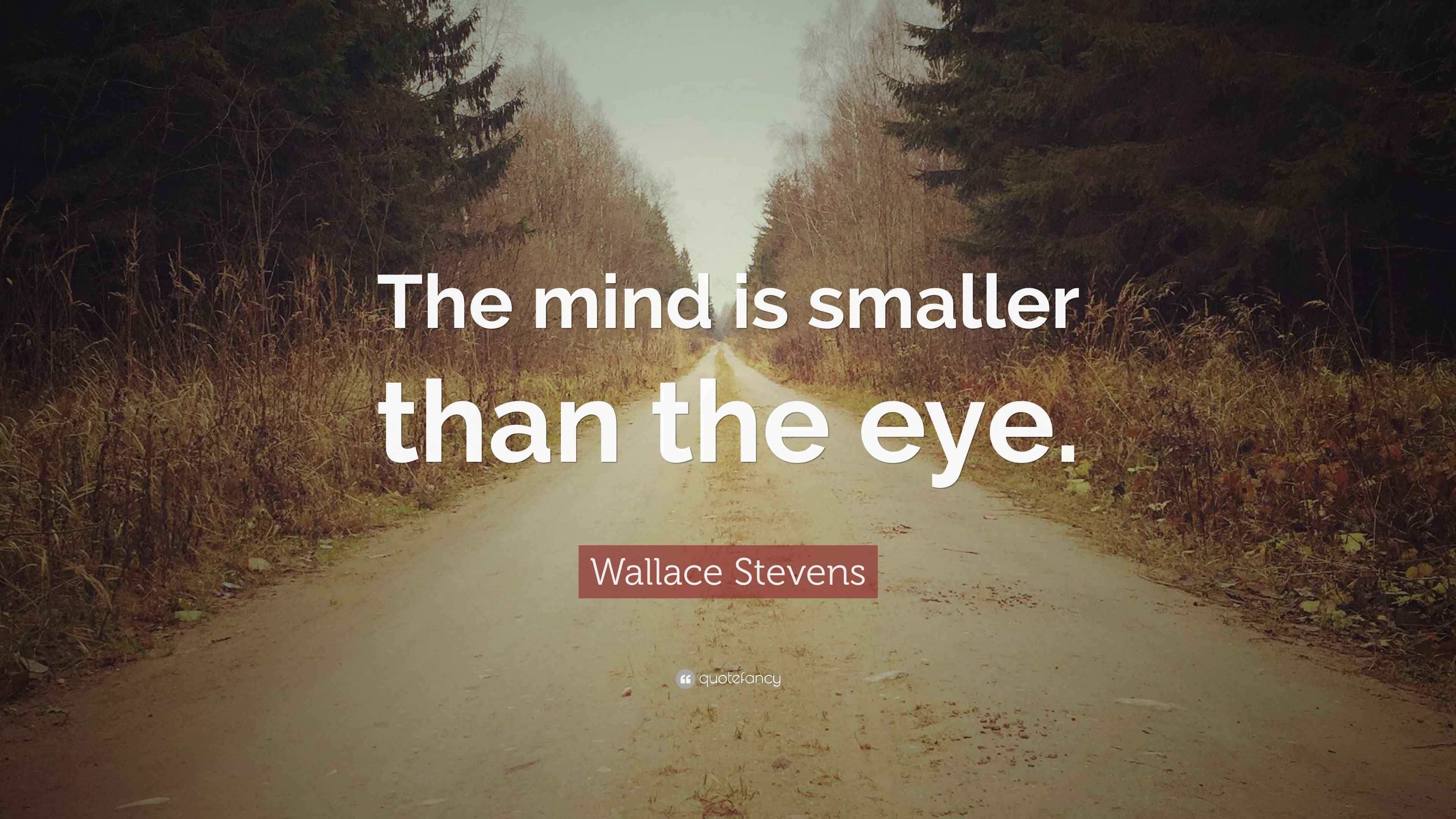 Wallace Stevens Quote: “The mind is smaller than the eye.”
