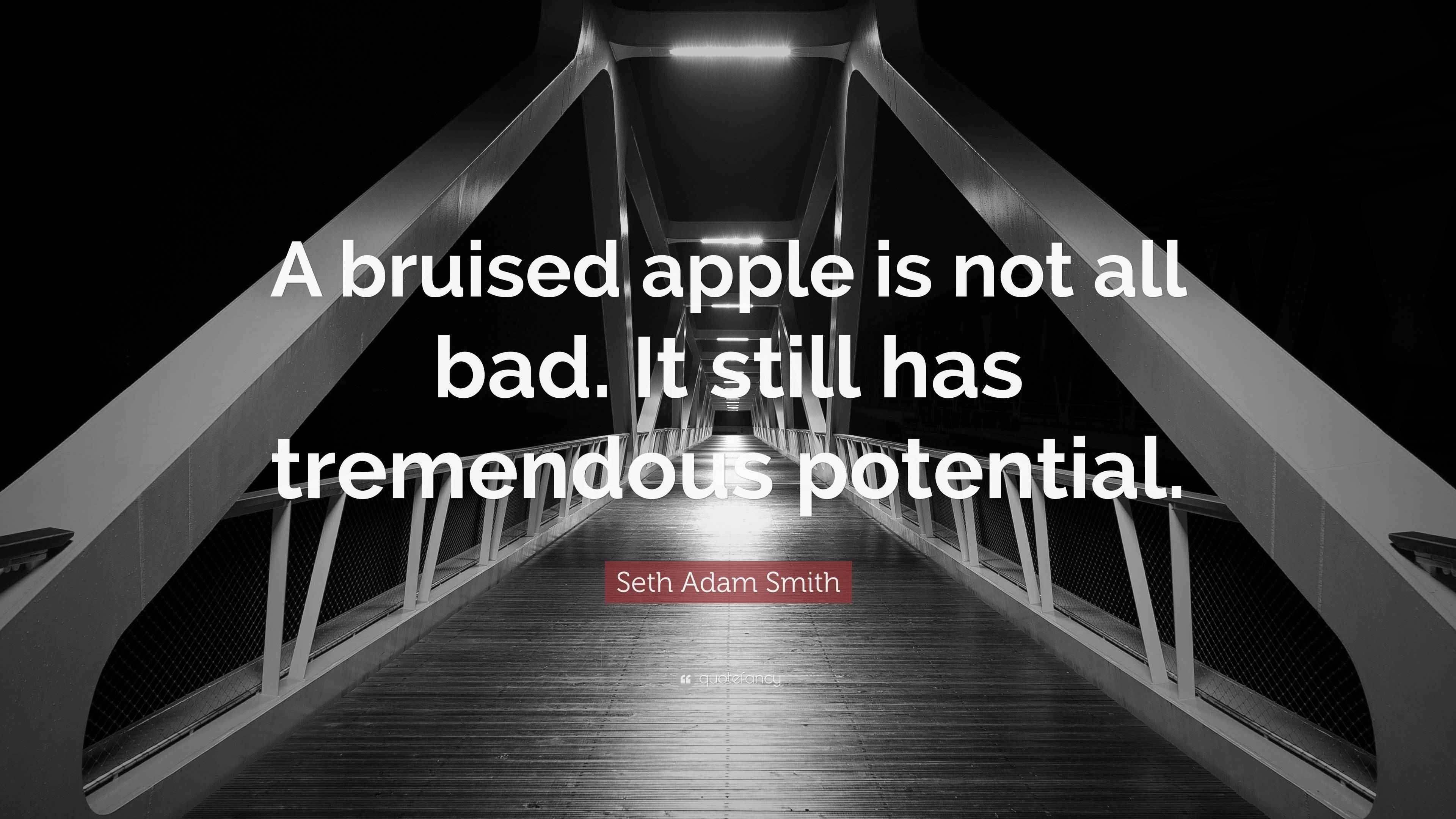Seth Adam Smith Quote: “A bruised apple is not all bad. It still has ...