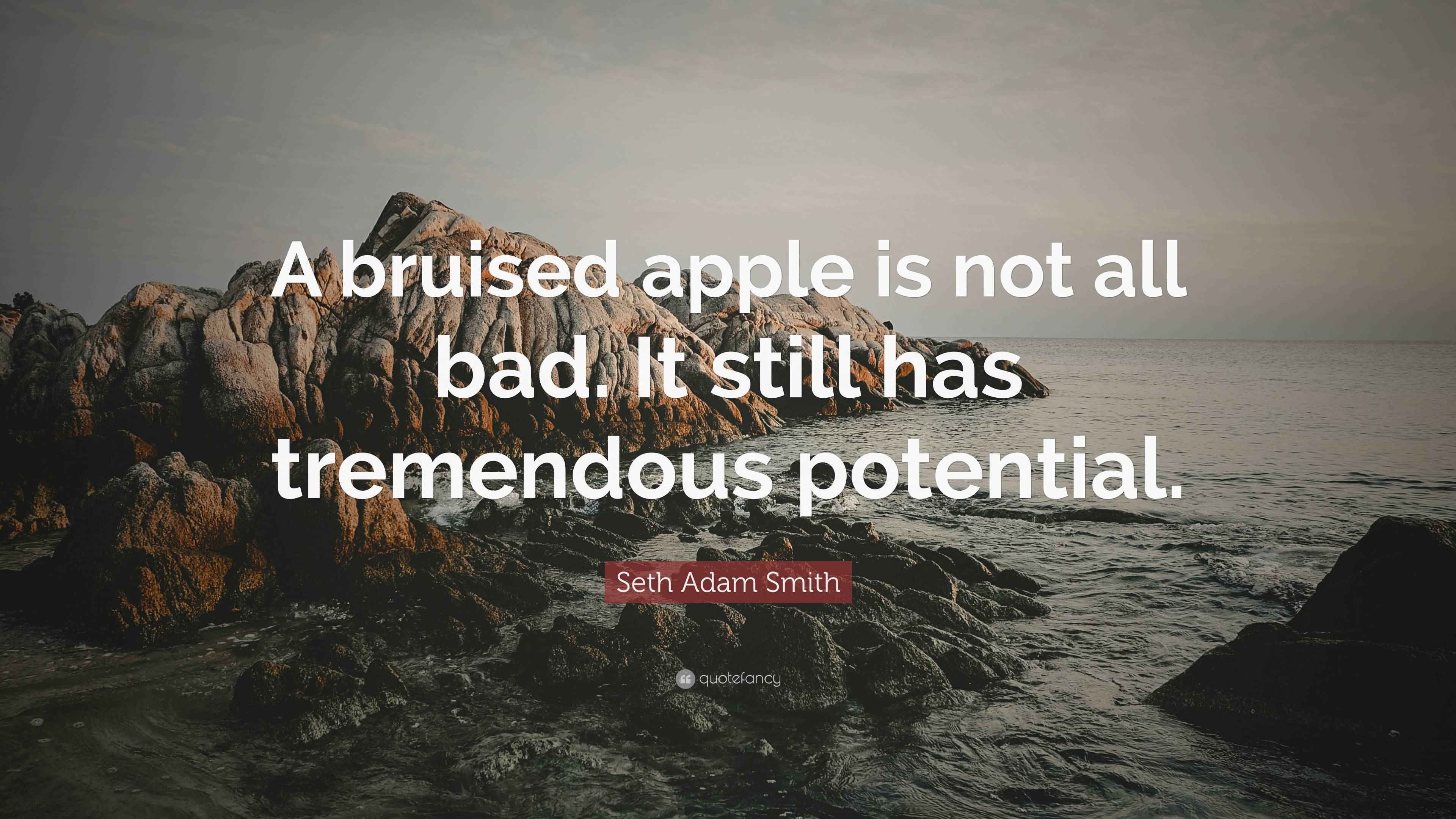 Seth Adam Smith Quote: “A bruised apple is not all bad. It still has ...