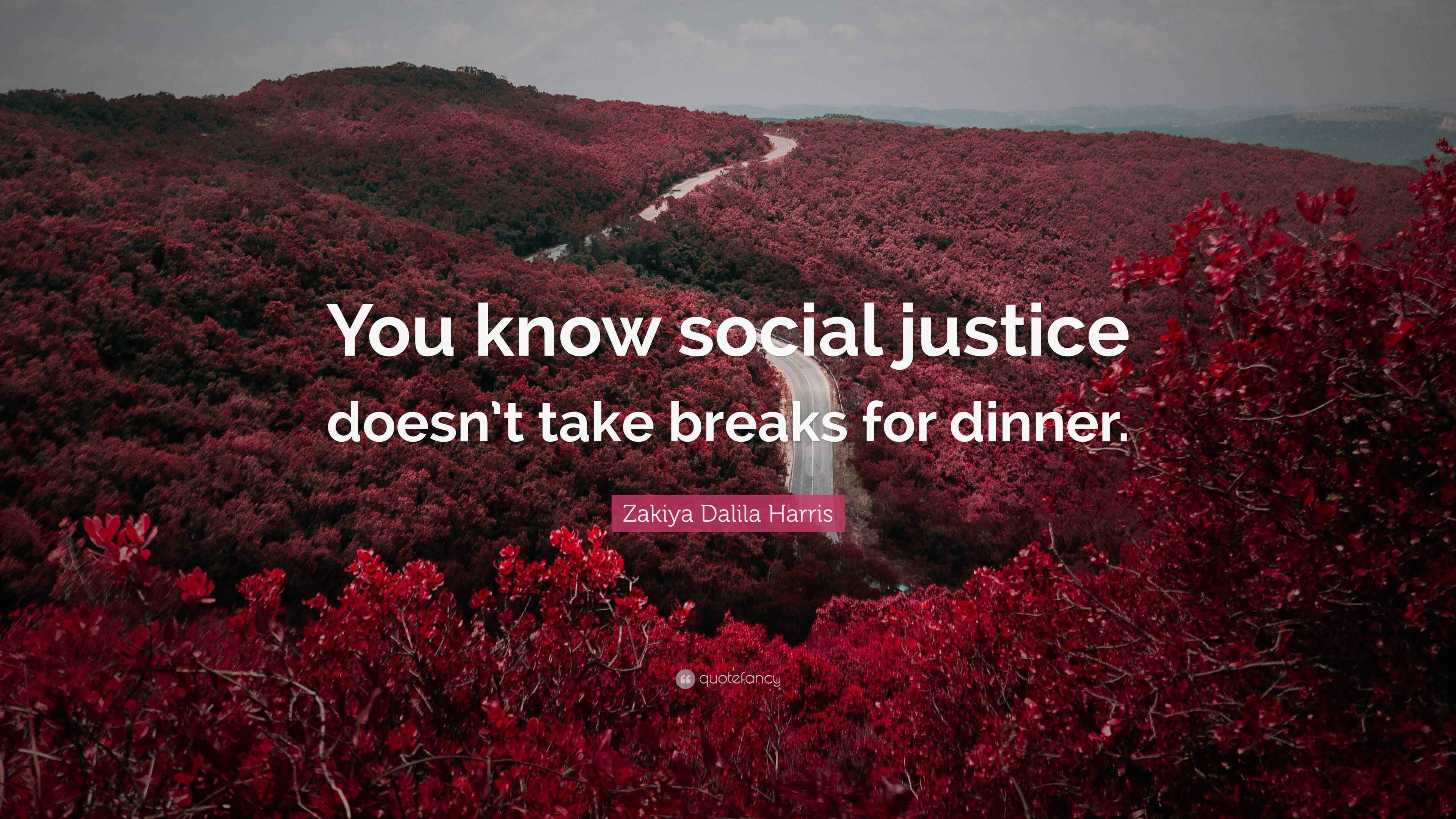 Zakiya Dalila Harris Quote: “You know social justice doesn’t take ...