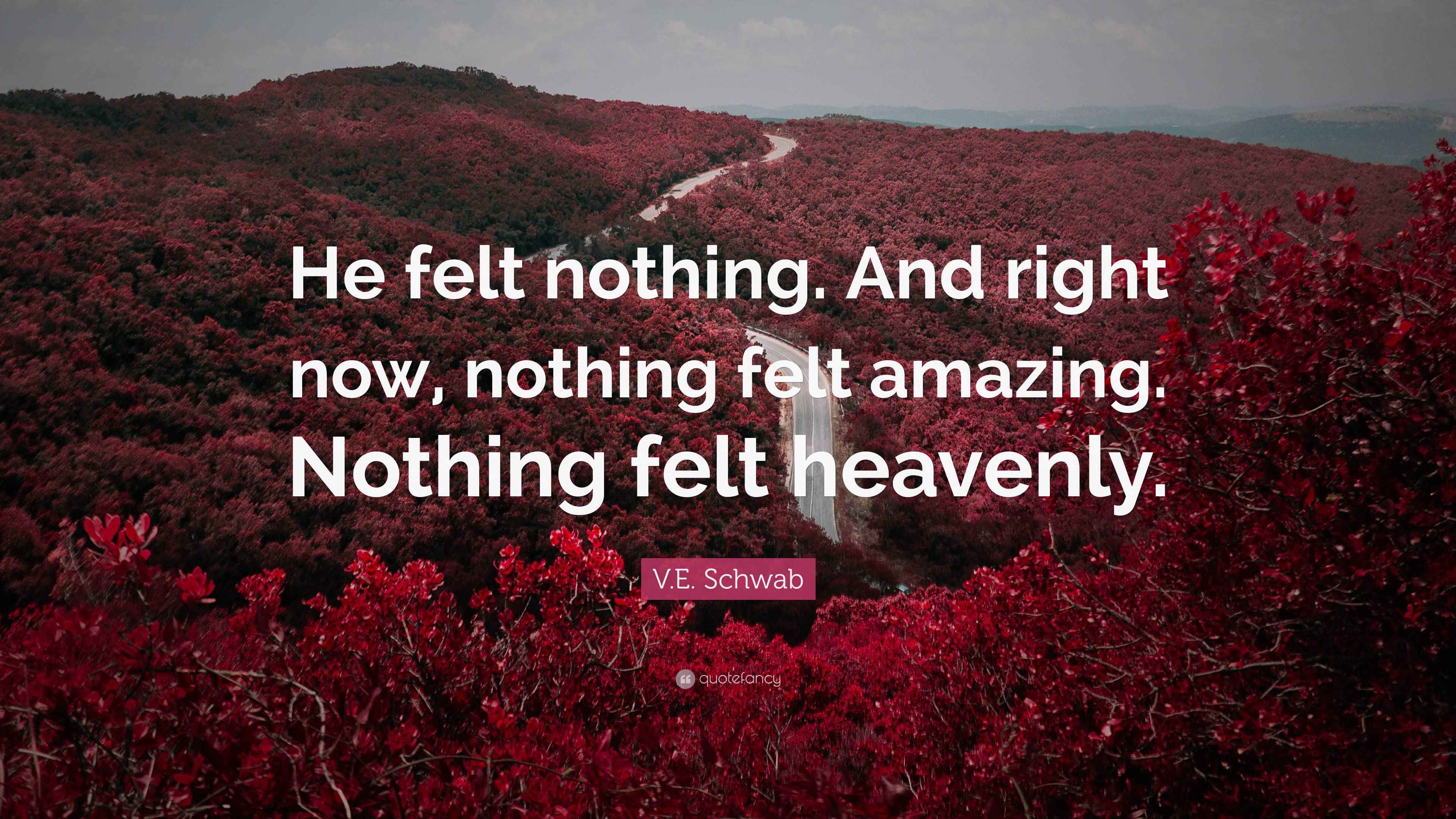 V.E. Schwab Quote: “He felt nothing. And right now, nothing felt ...