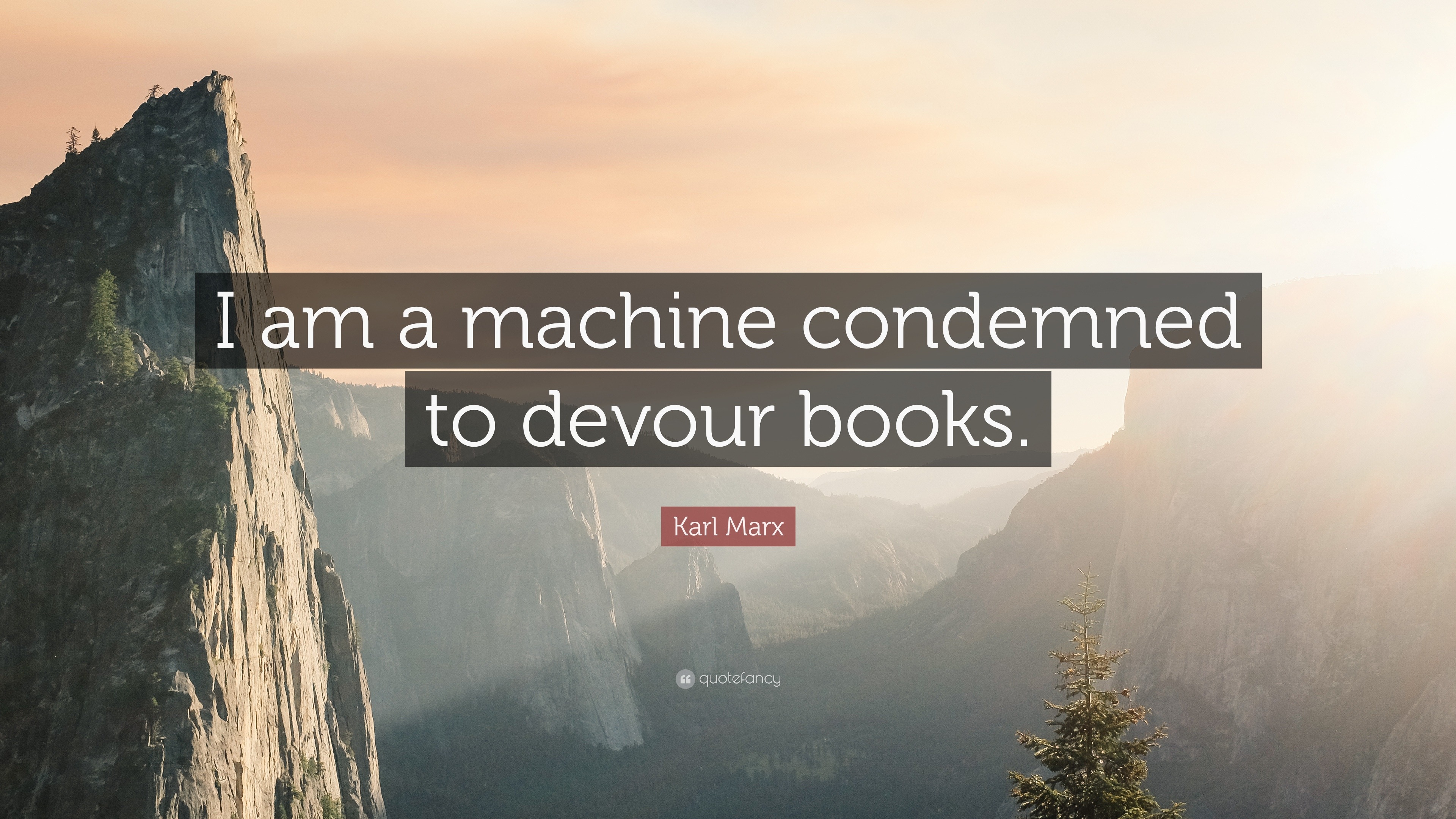 Karl Marx Quote: “I am a machine condemned to devour books.”