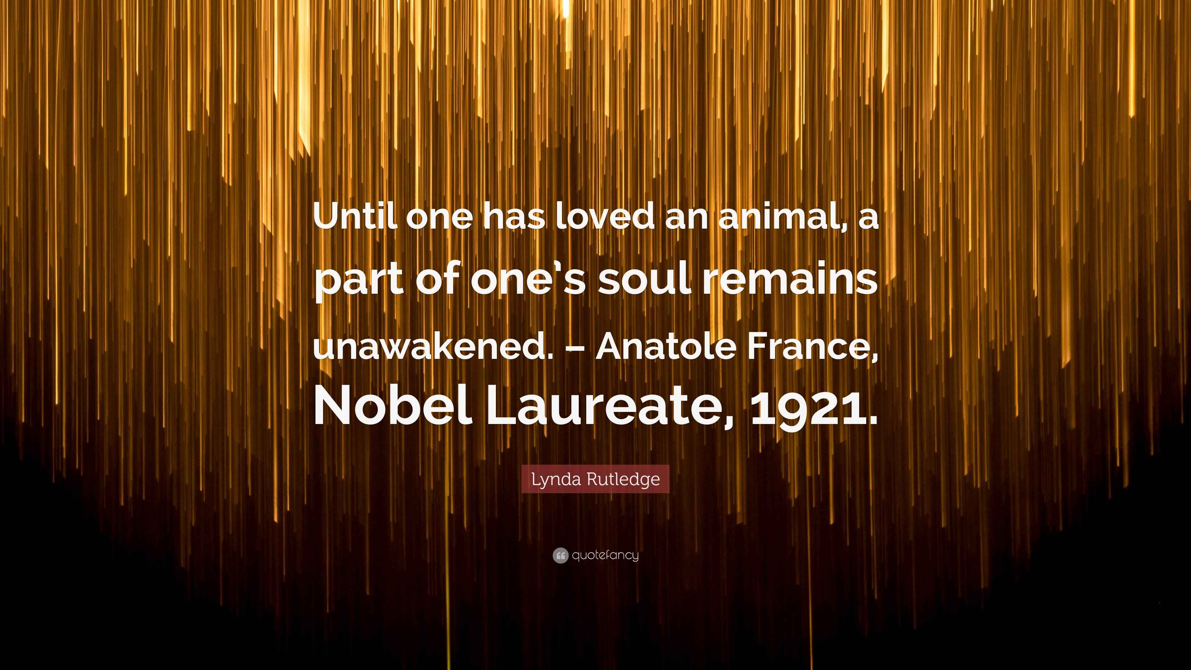 Lynda Rutledge Quote: “Until one has loved an animal, a part of one’s ...