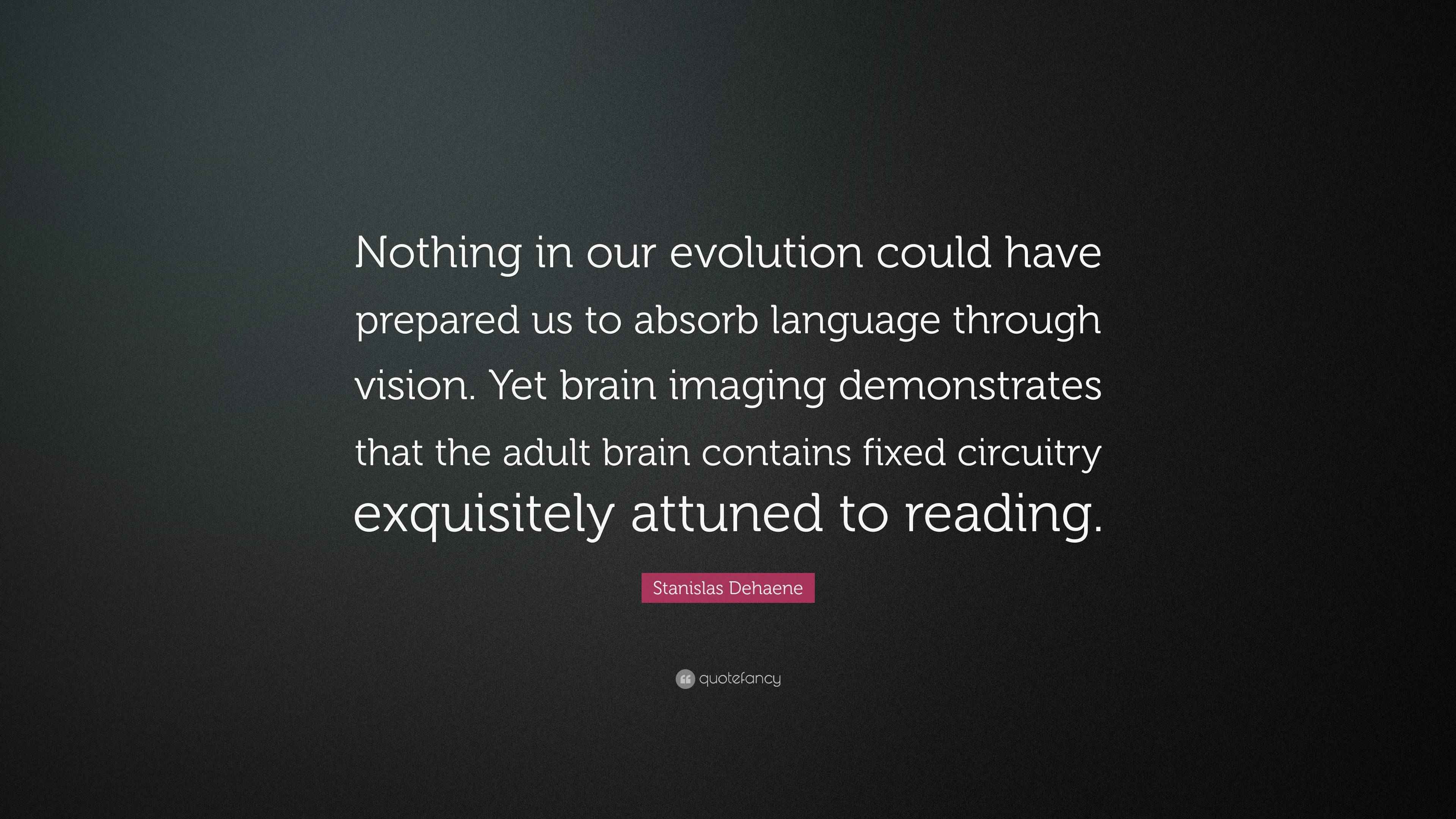 Stanislas Dehaene Quote: “Nothing in our evolution could have prepared ...