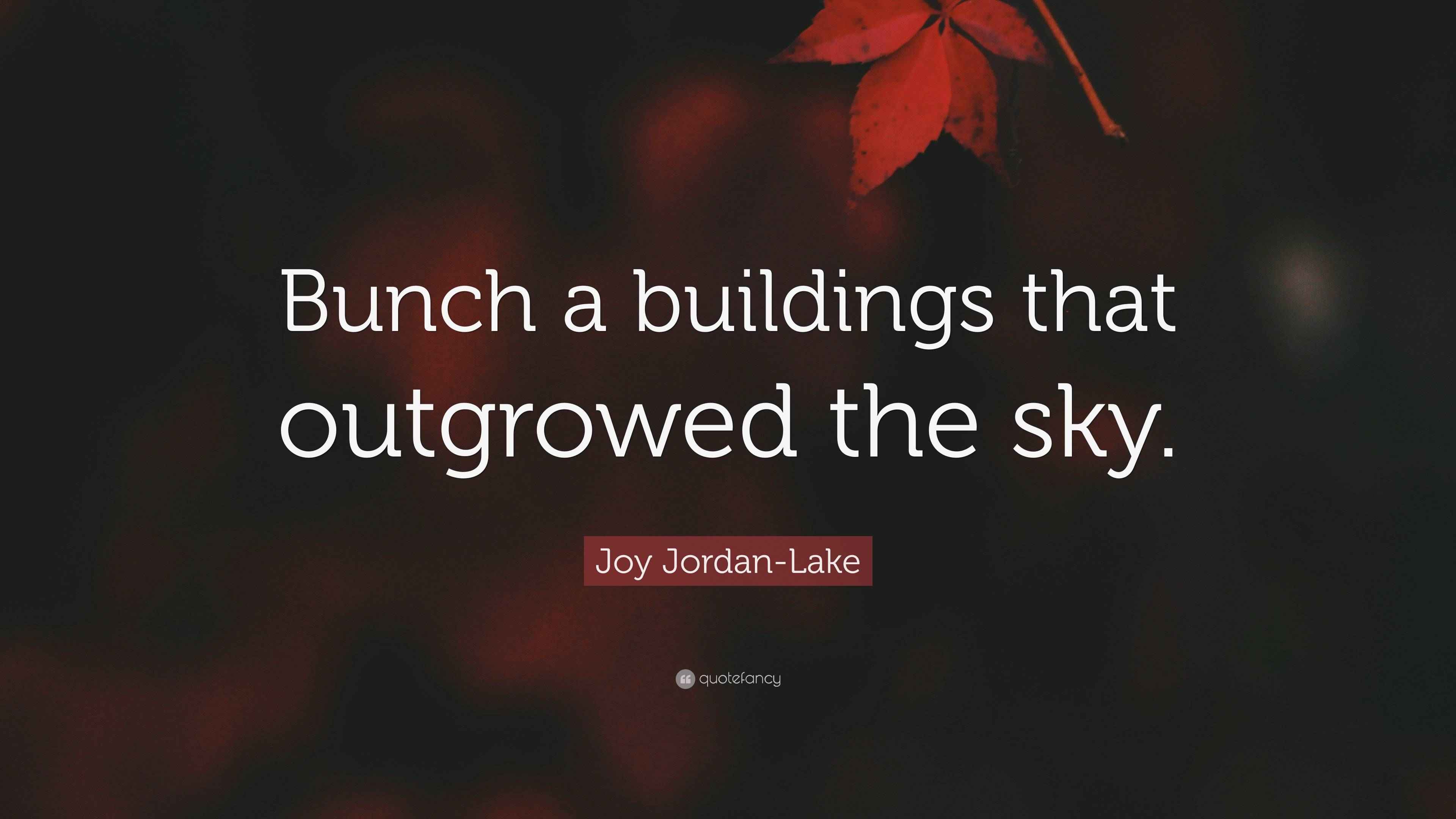 Joy Jordan-Lake Quote: “Bunch a buildings that outgrowed the sky.”
