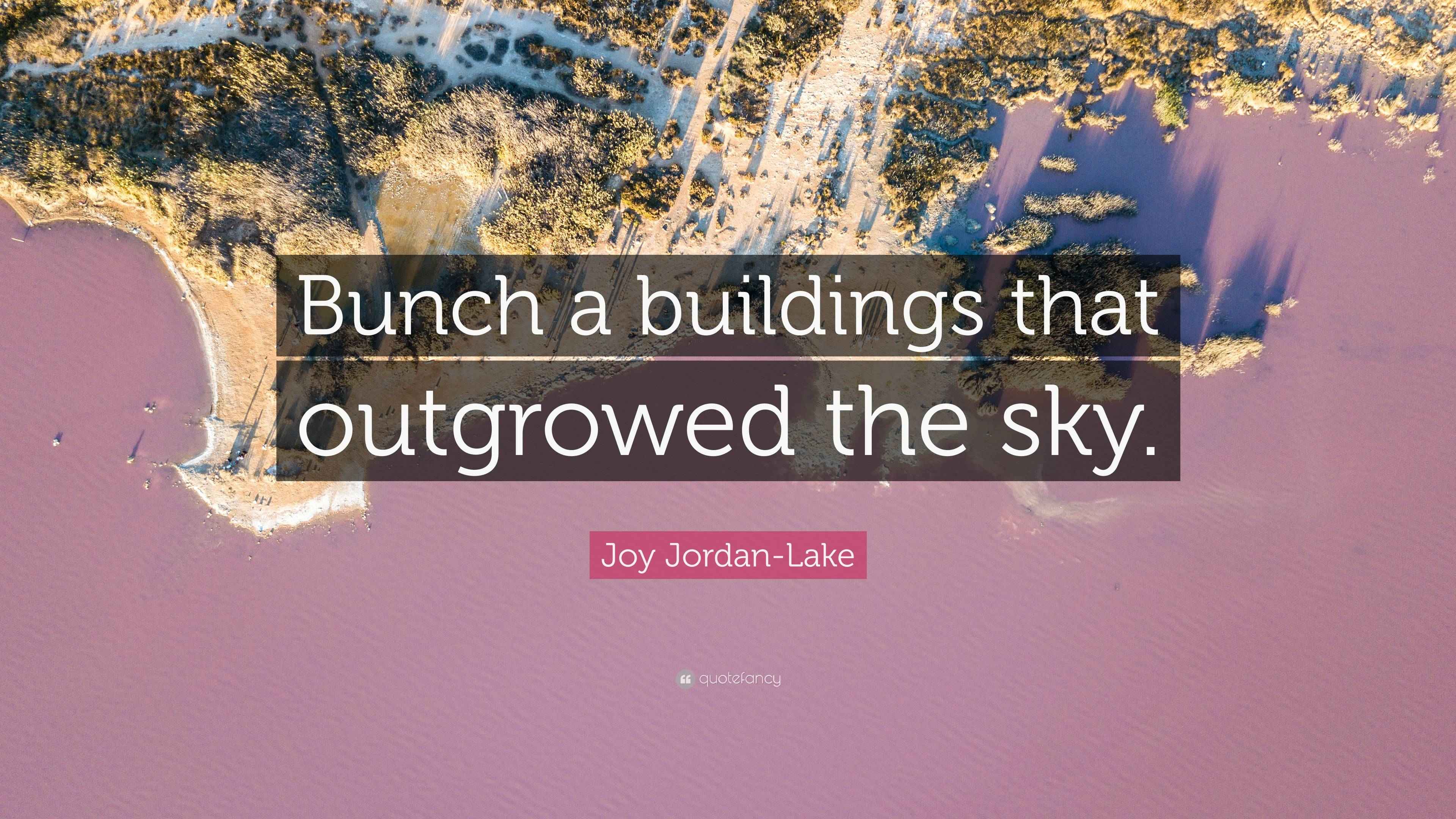 Joy Jordan-Lake Quote: “Bunch a buildings that outgrowed the sky.”