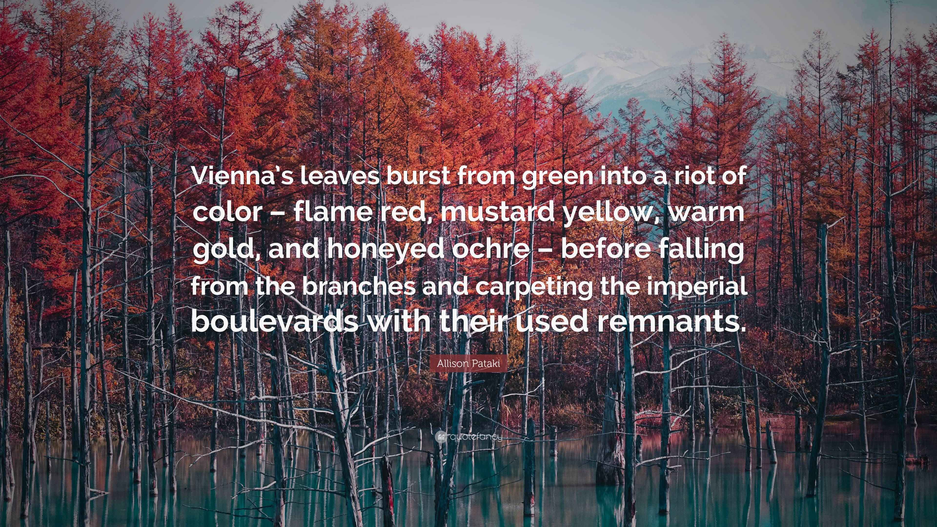 Allison Pataki Quote: “Vienna’s leaves burst from green into a riot of ...