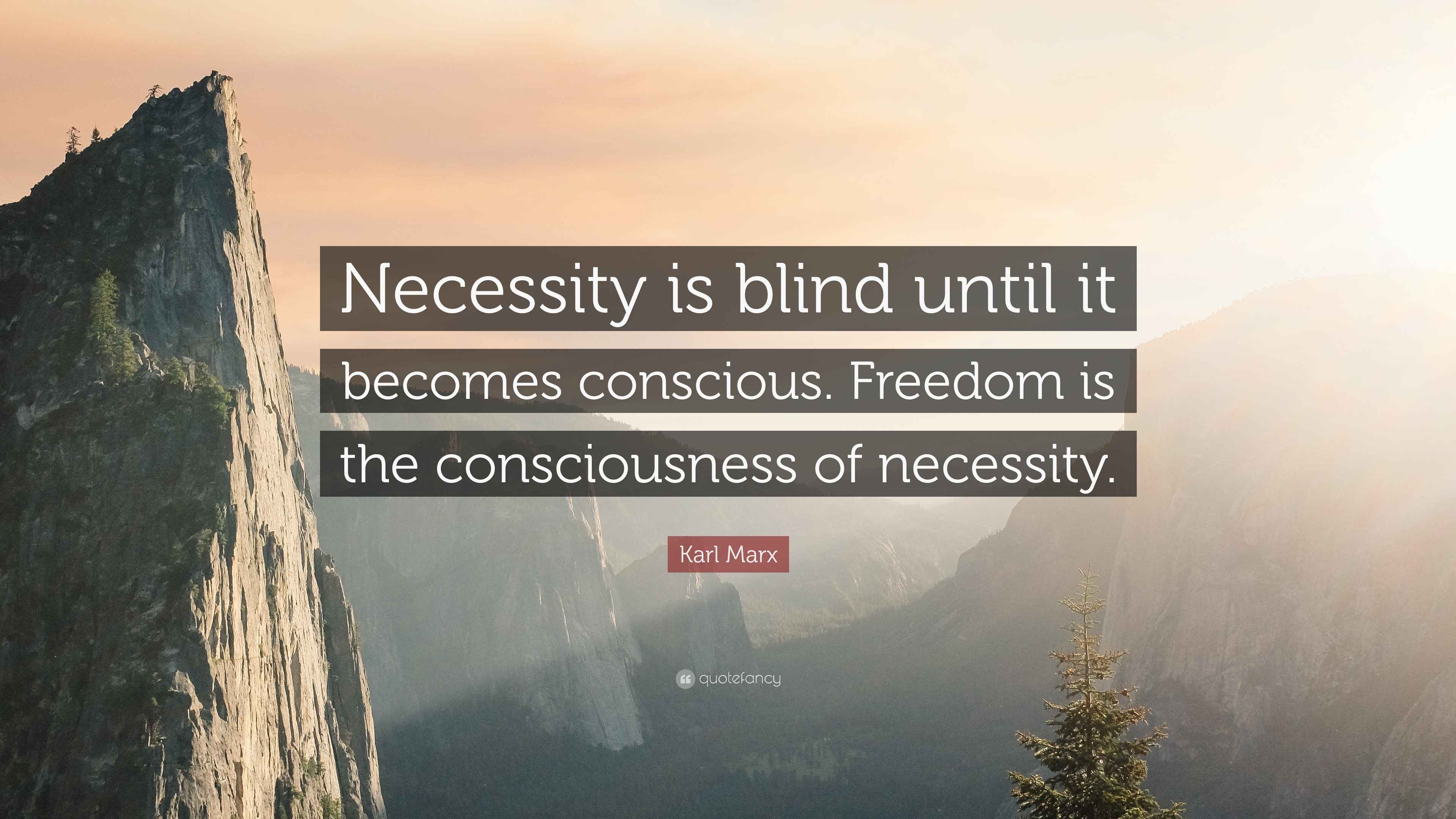 Karl Marx Quote: “Necessity is blind until it becomes conscious ...