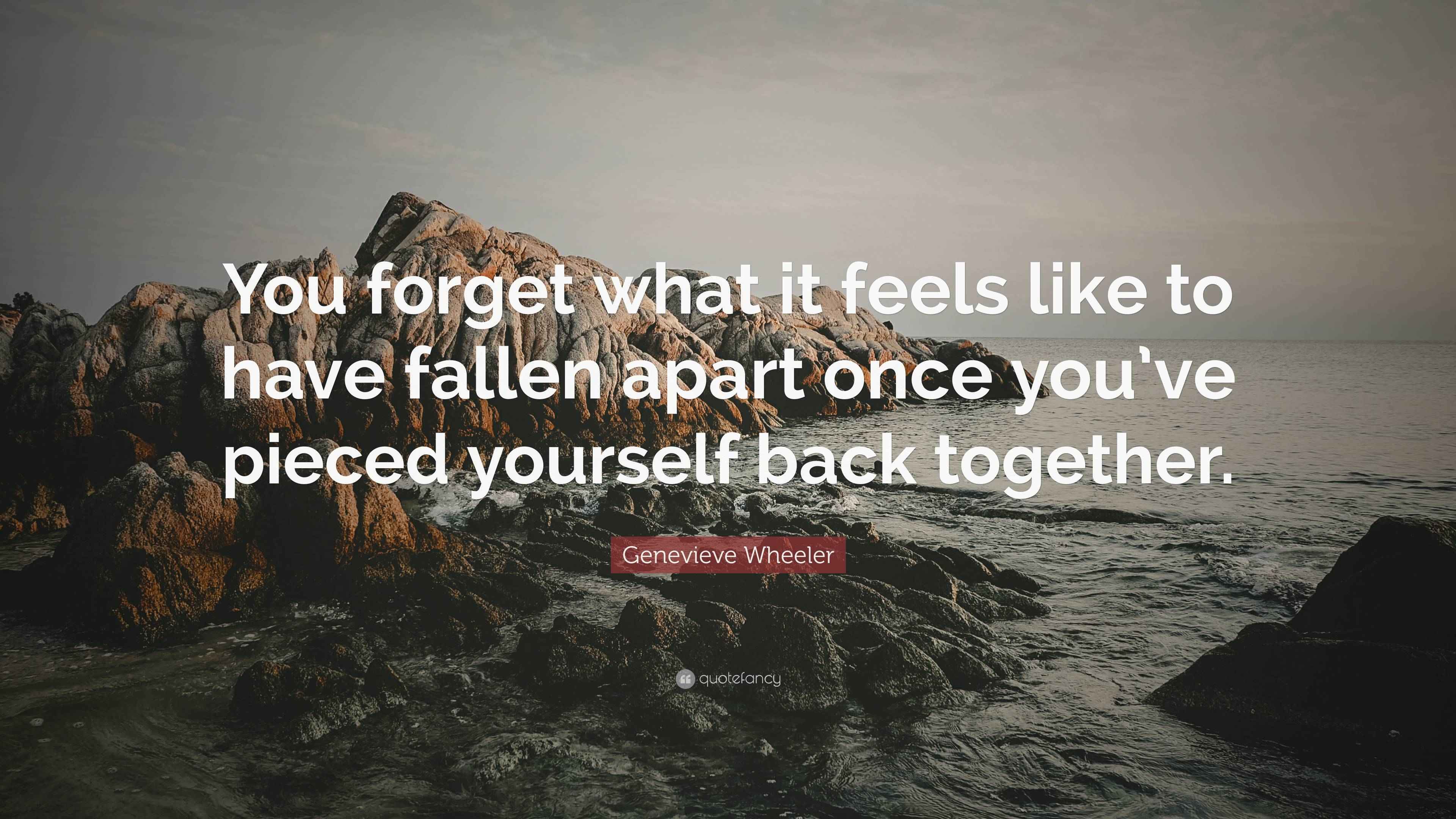 Genevieve Wheeler Quote: “You forget what it feels like to have fallen ...