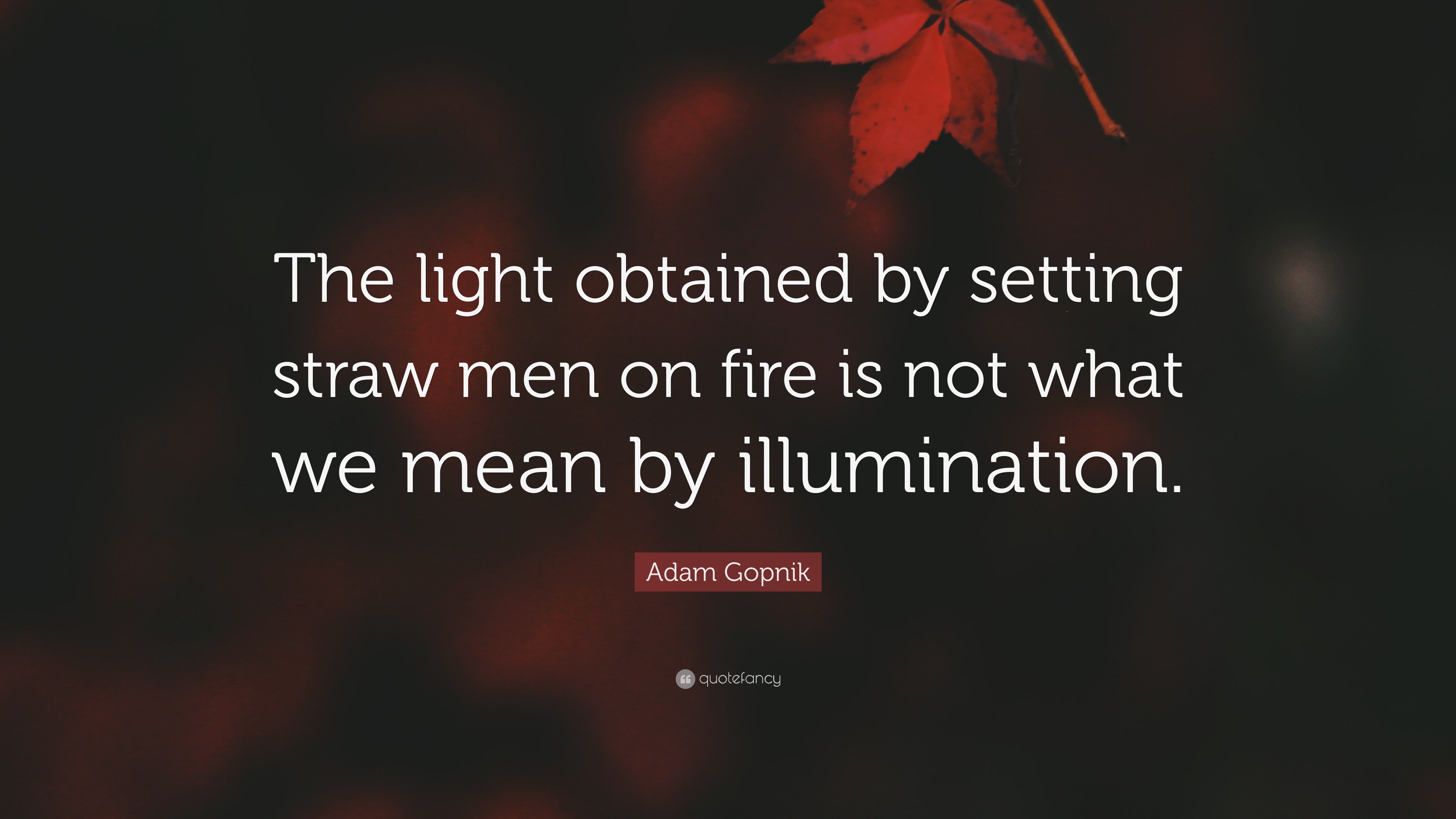 Adam Gopnik Quote: “The light obtained by setting straw men on fire is ...