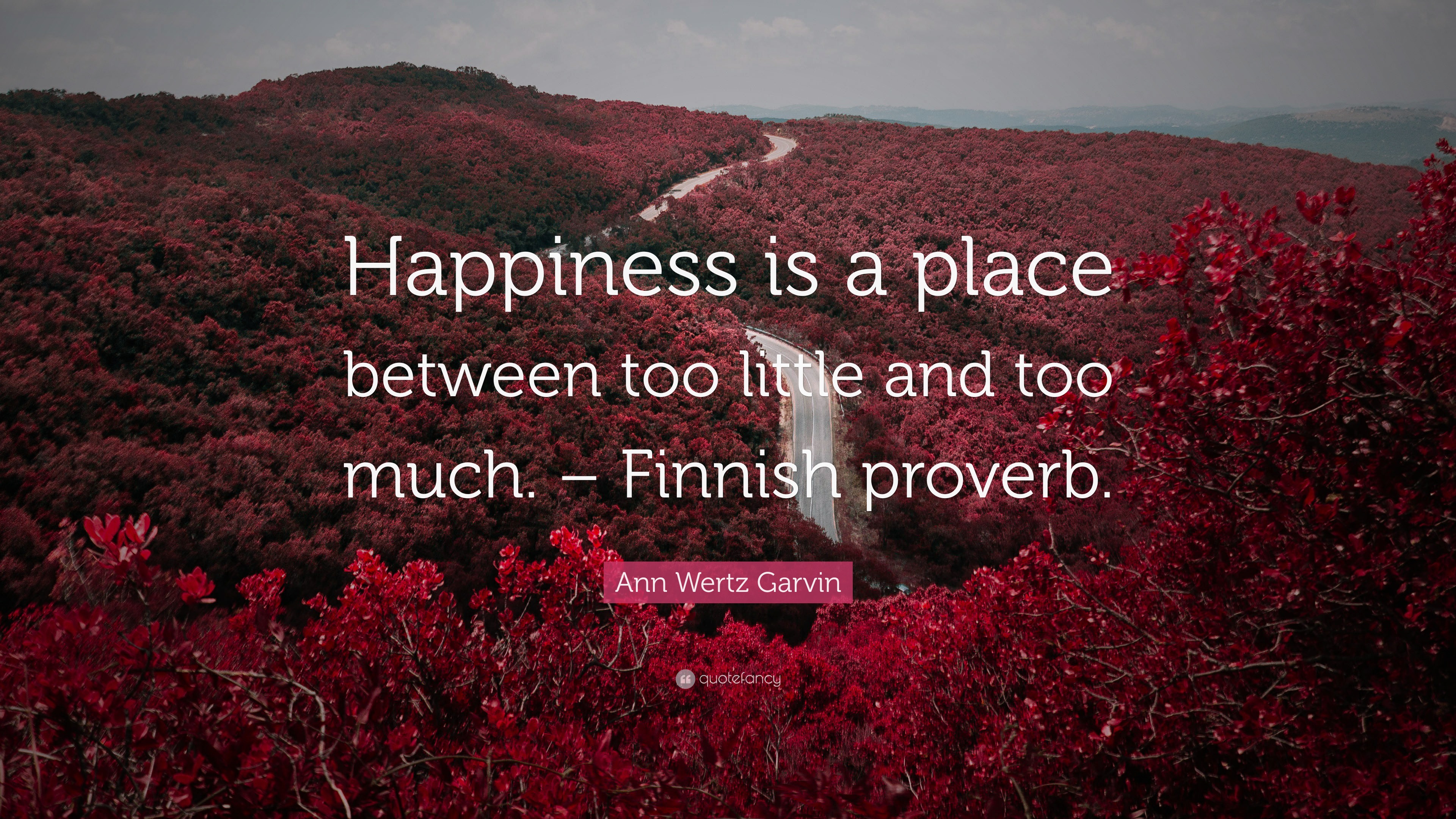 Ann Wertz Garvin Quote: “Happiness is a place between too little and ...