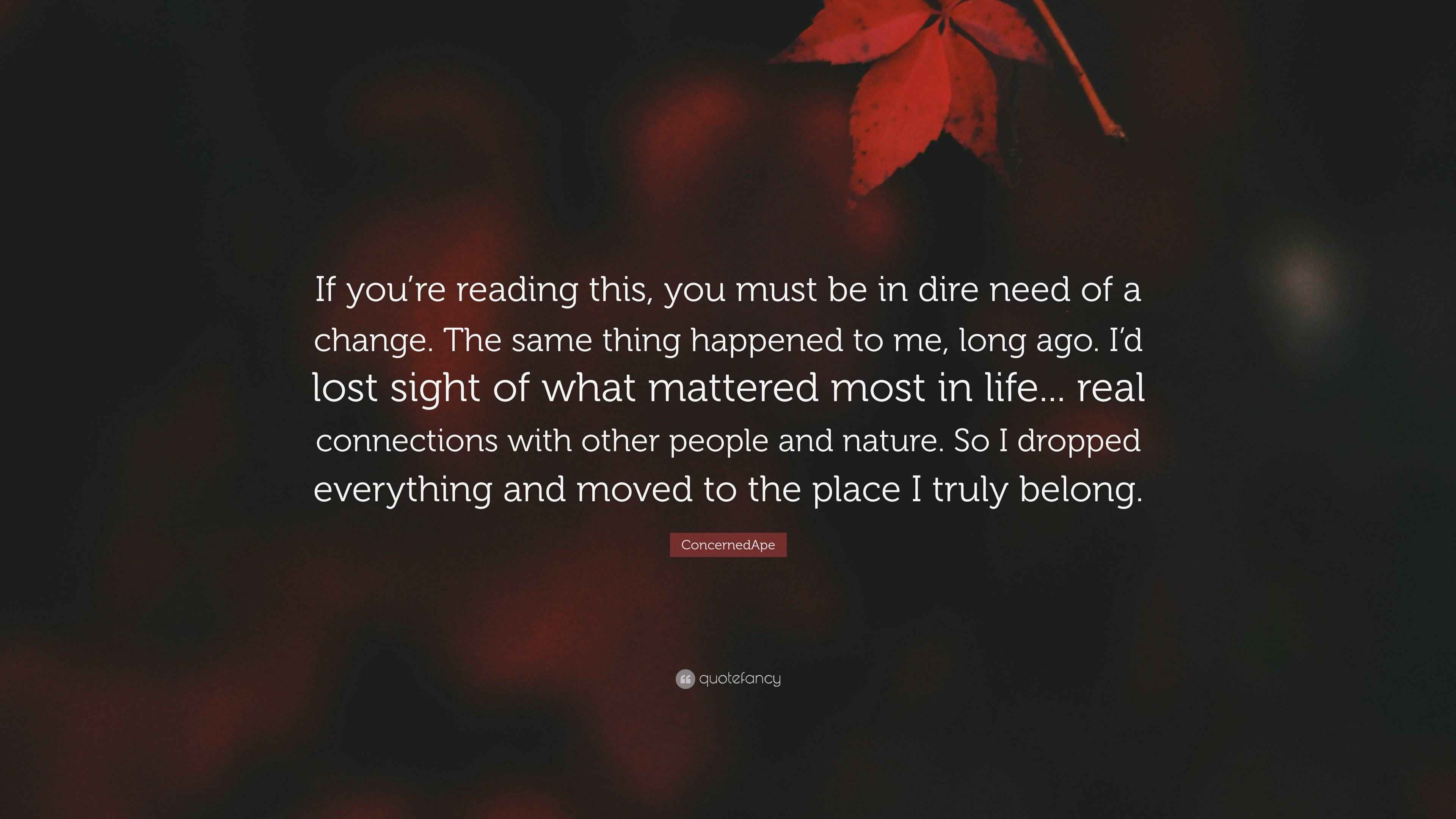 ConcernedApe Quote: “If you’re reading this, you must be in dire need ...