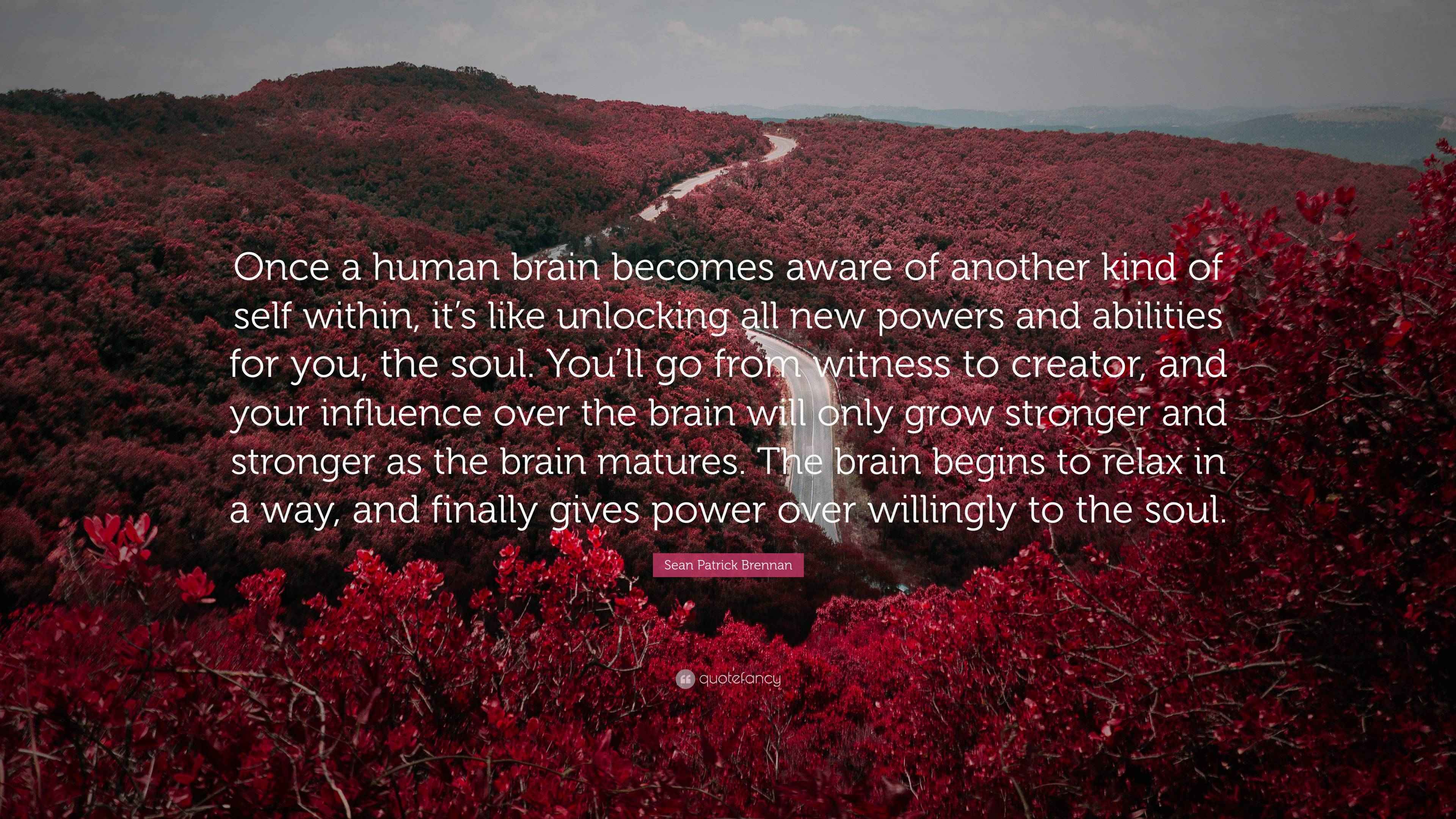 Sean Patrick Brennan Quote: “Once a human brain becomes aware of ...