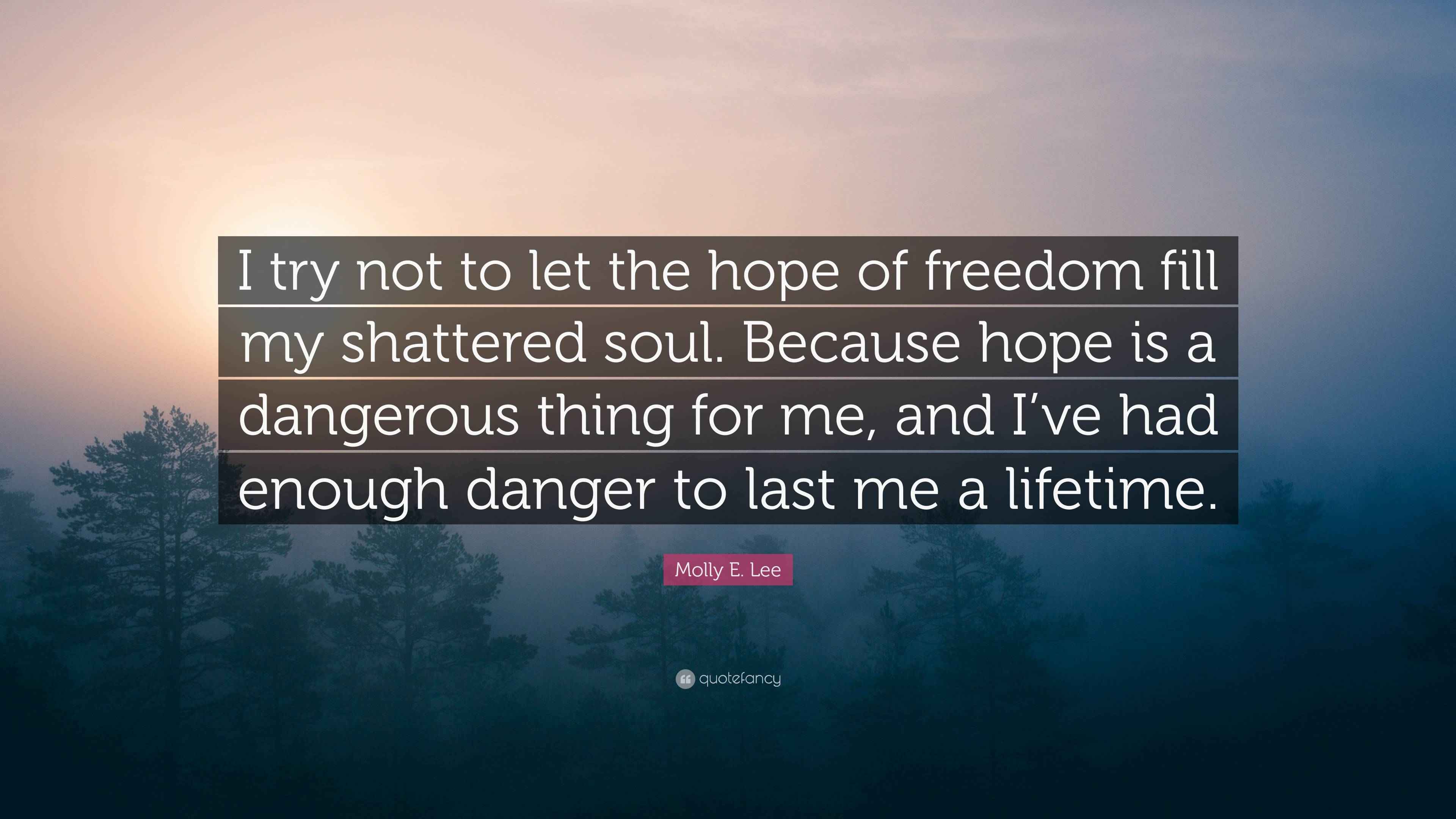 Molly E. Lee Quote: “I try not to let the hope of freedom fill my ...