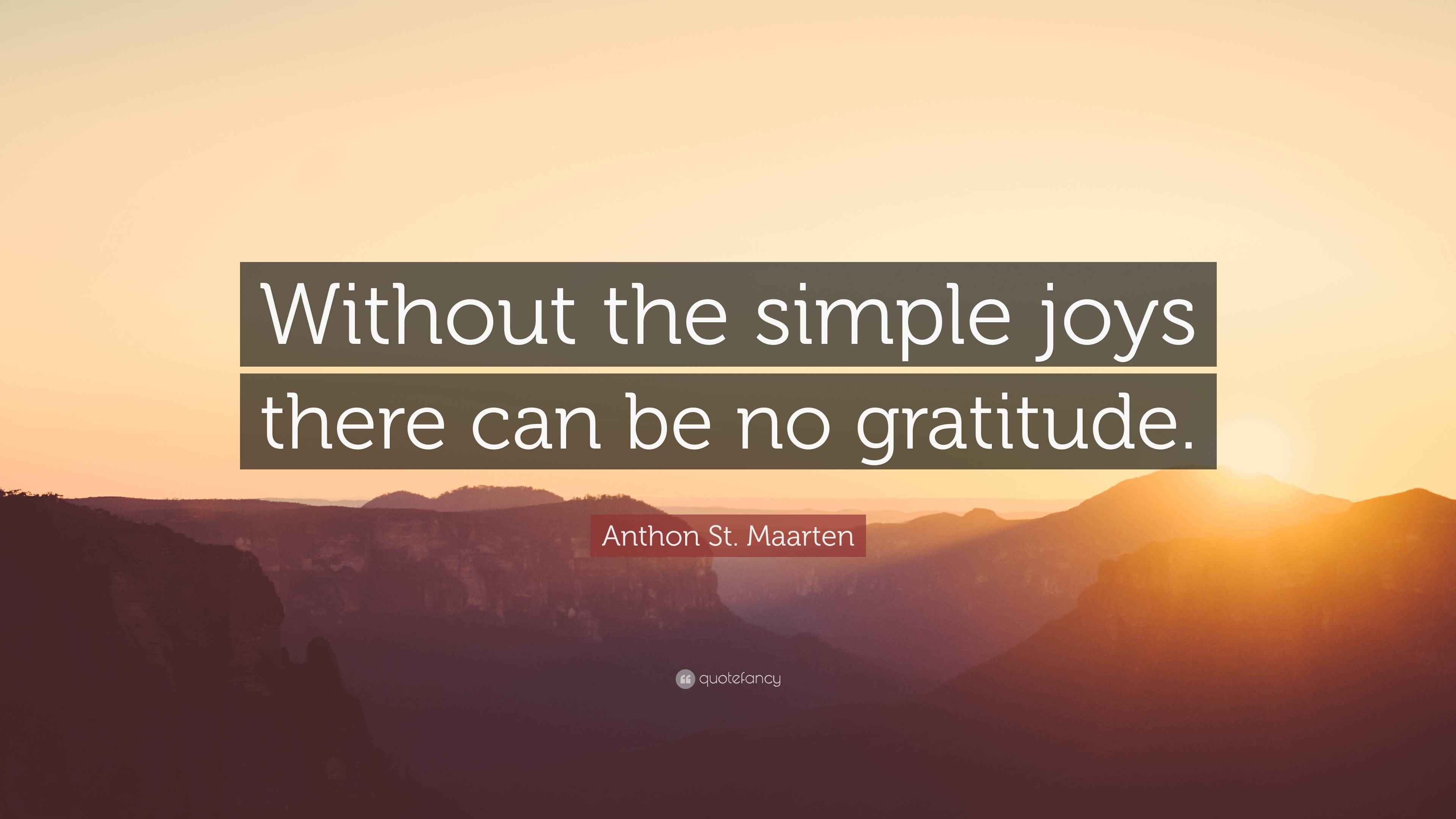 Anthon St. Maarten Quote: “Without the simple joys there can be no ...