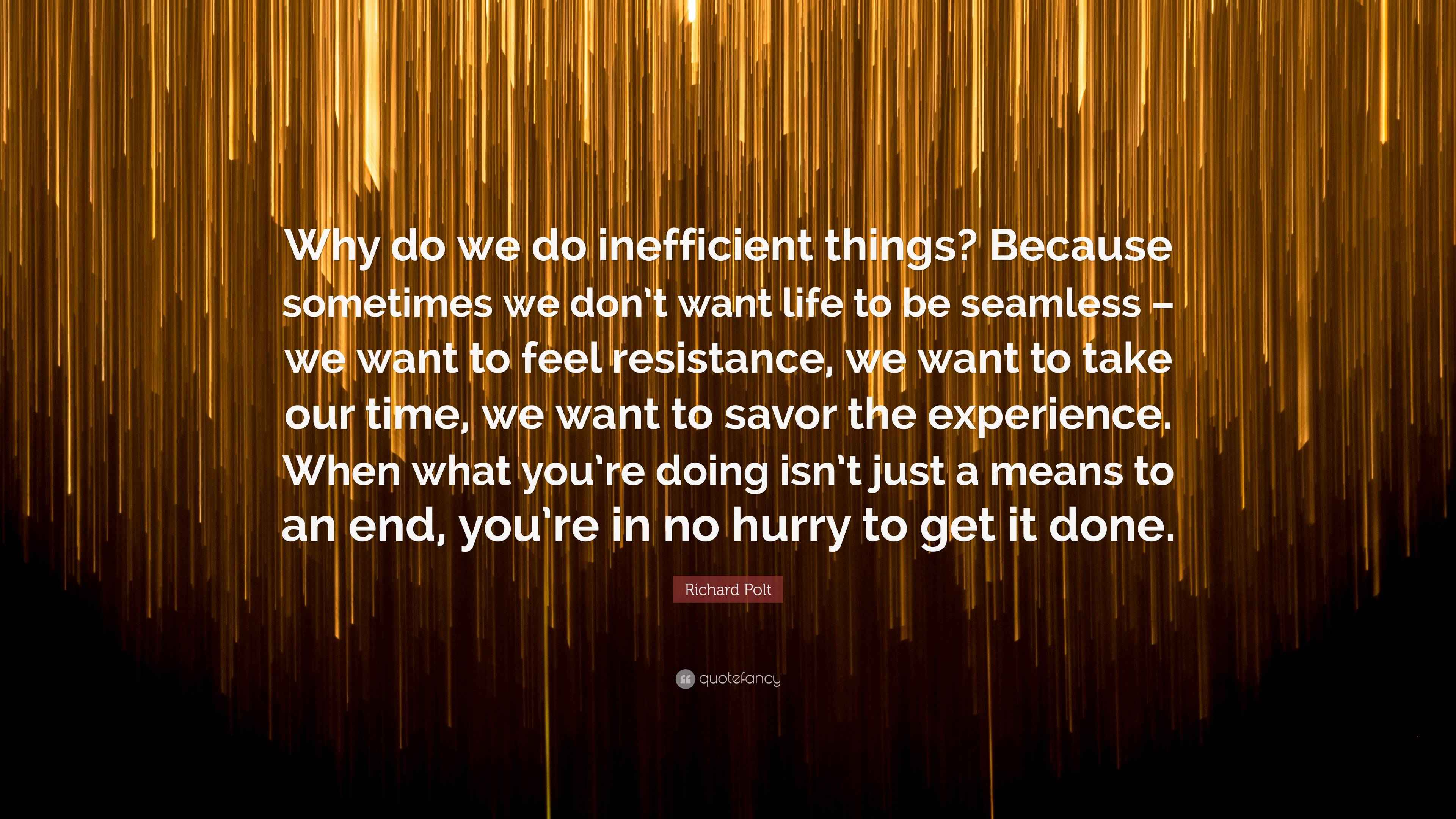 Richard Polt Quote: “Why do we do inefficient things? Because sometimes ...