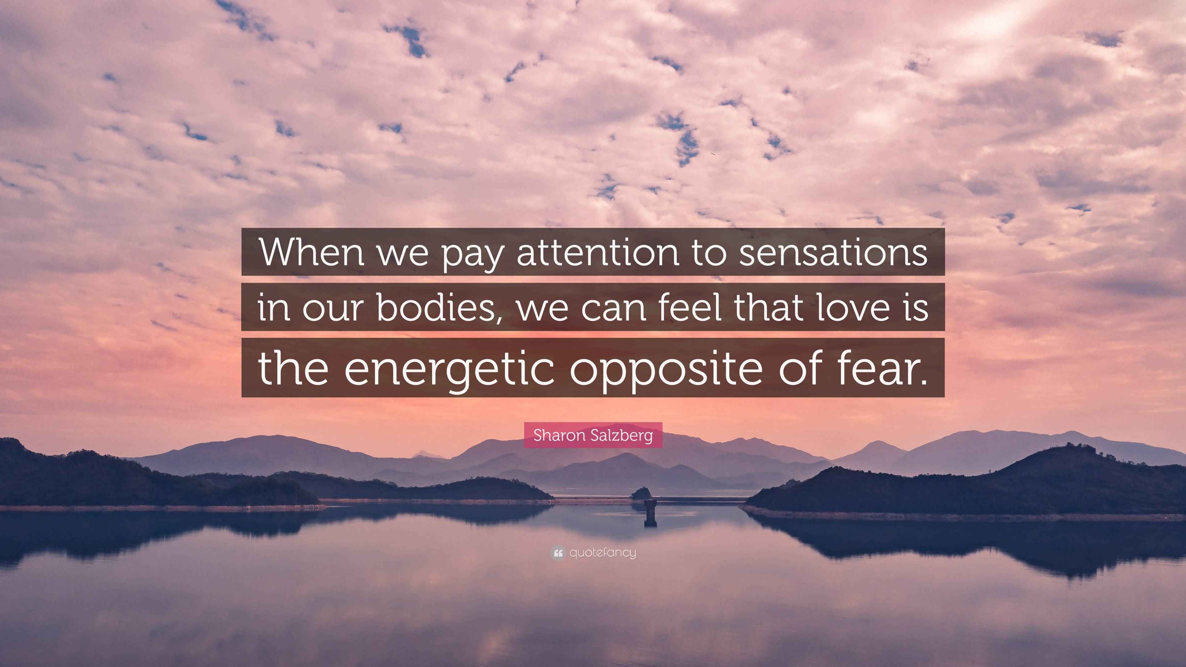 Sharon Salzberg Quote: “When we pay attention to sensations in our ...