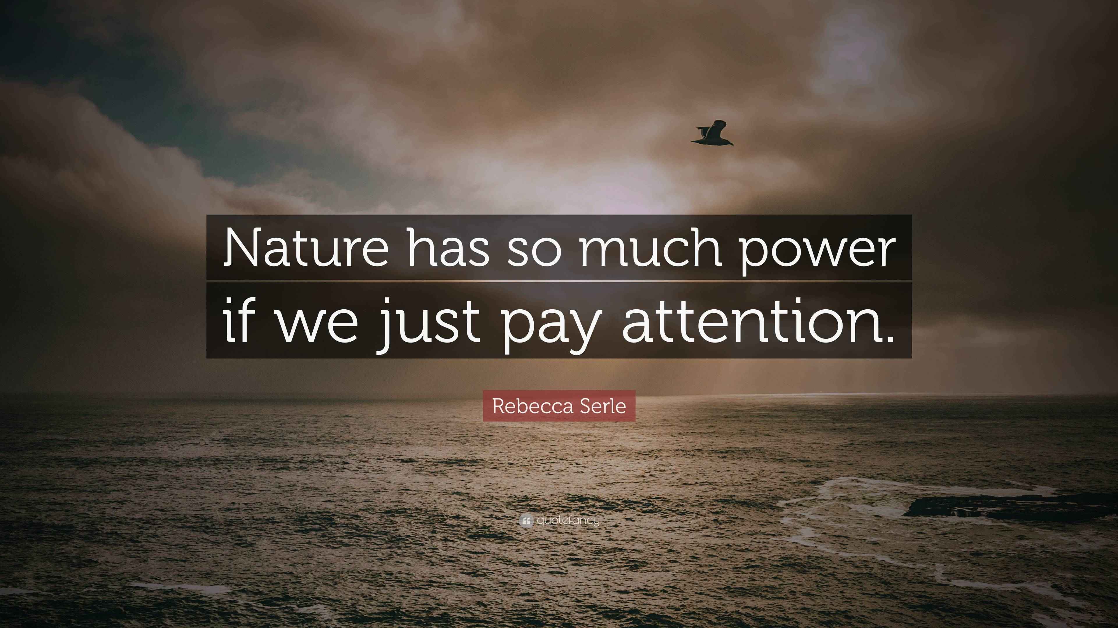 Rebecca Serle Quote: “Nature has so much power if we just pay attention.”