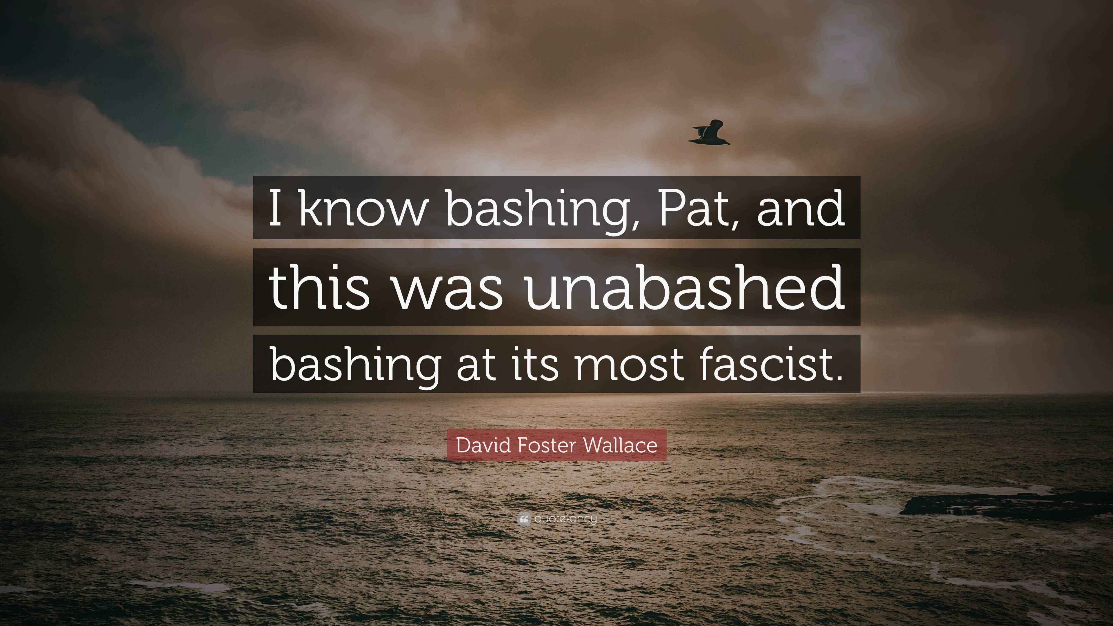 David Foster Wallace Quote: “I know bashing, Pat, and this was ...