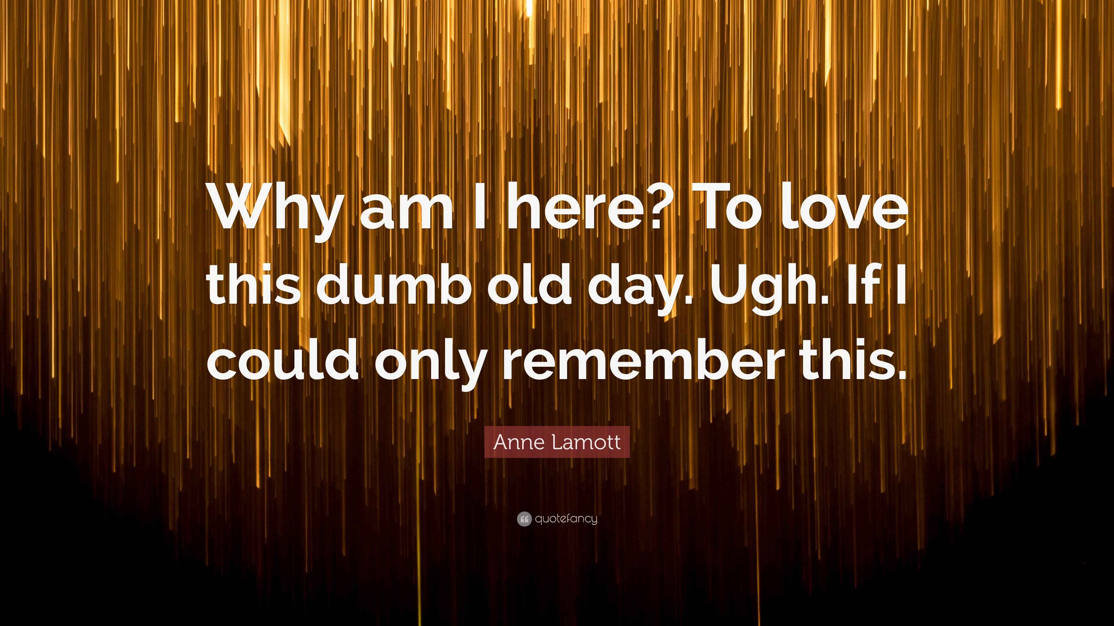 Anne Lamott Quote: “Why am I here? To love this dumb old day. Ugh. If I ...