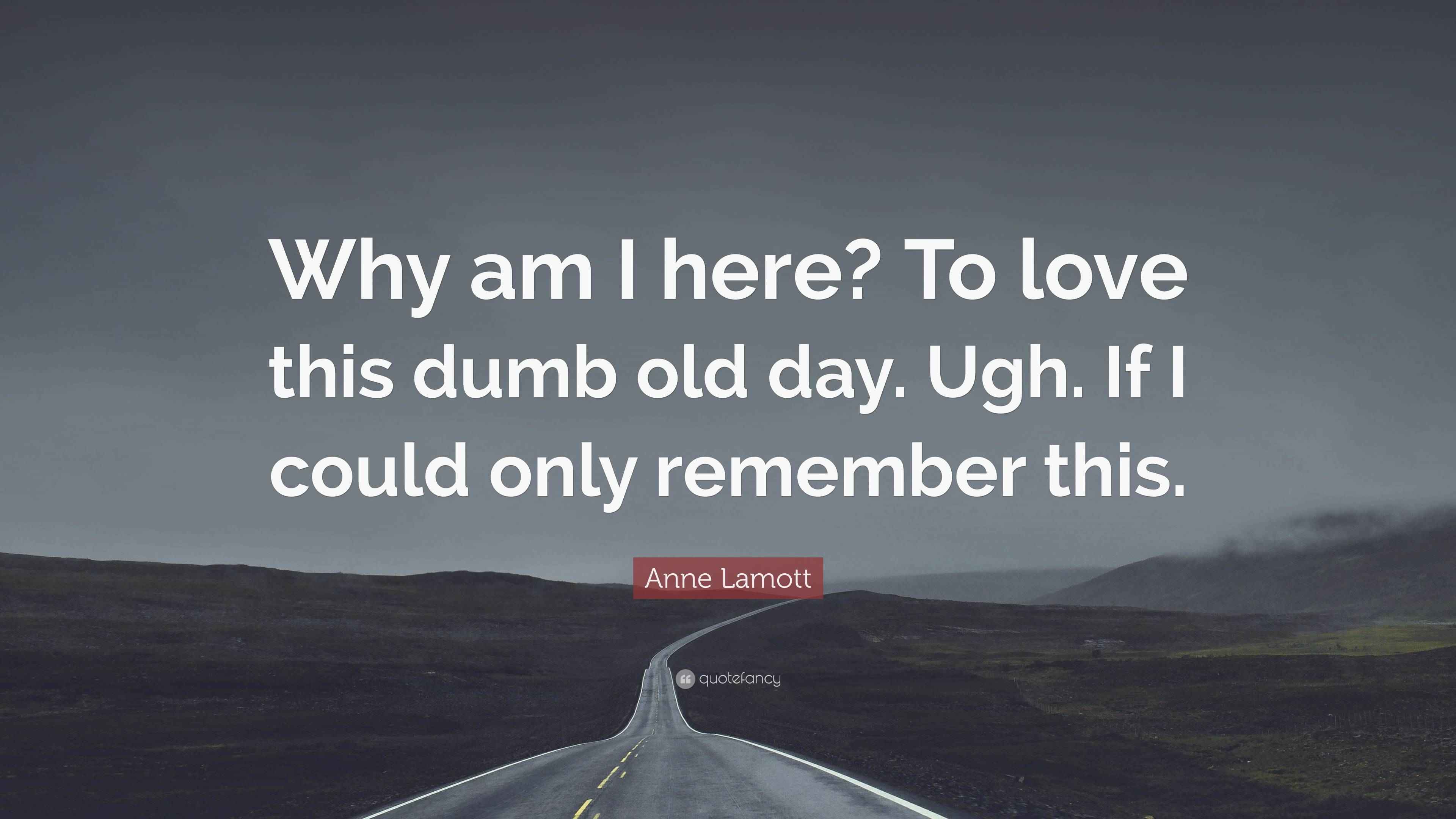 Anne Lamott Quote: “Why am I here? To love this dumb old day. Ugh. If I ...