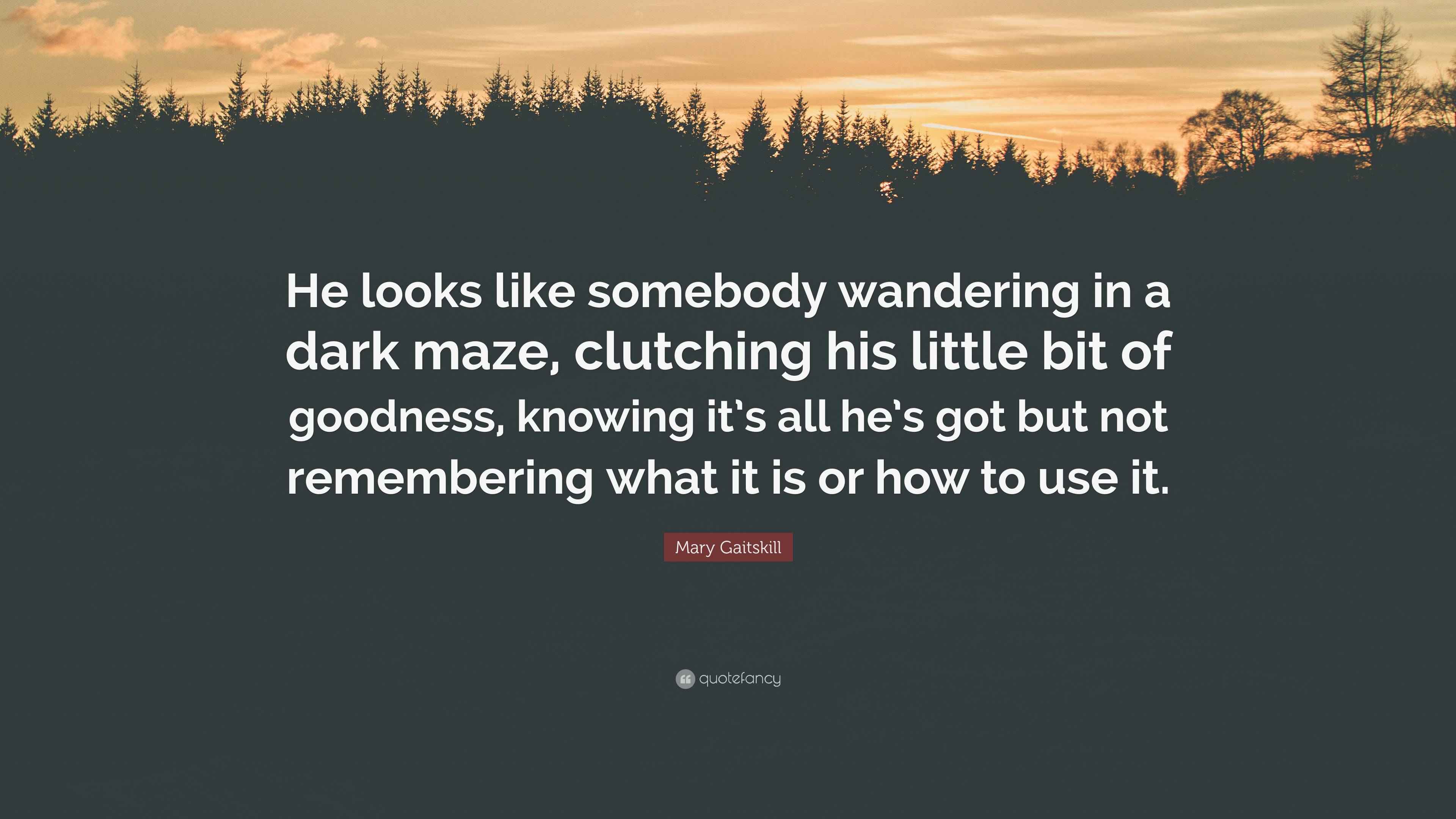 Mary Gaitskill Quote: “He looks like somebody wandering in a dark maze ...