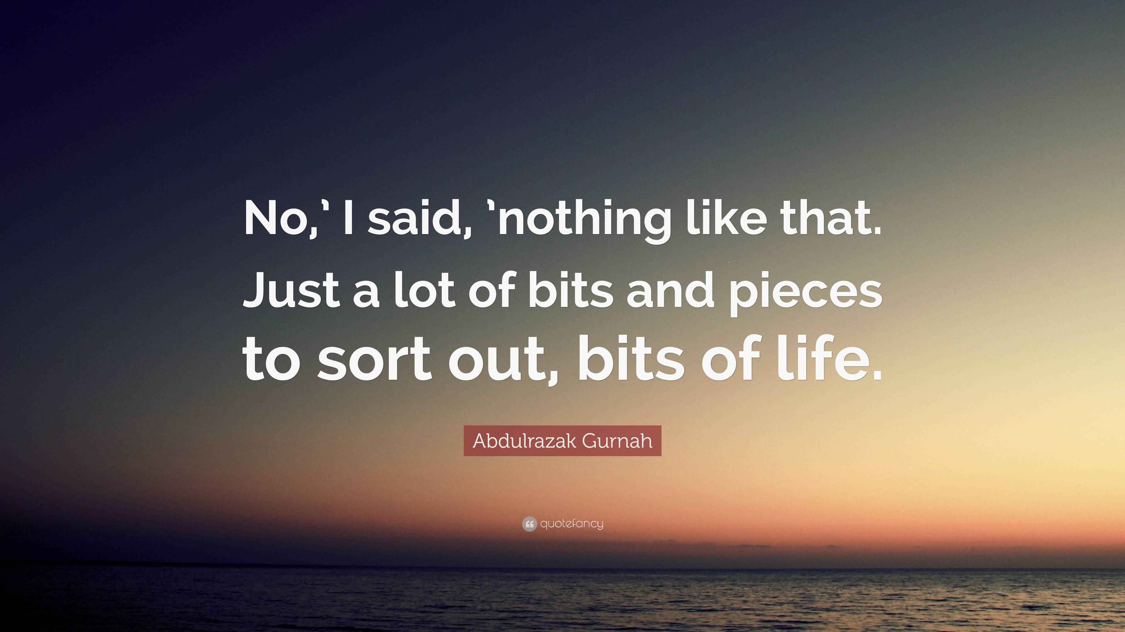 Abdulrazak Gurnah Quote: “No,’ I said, ’nothing like that. Just a lot ...