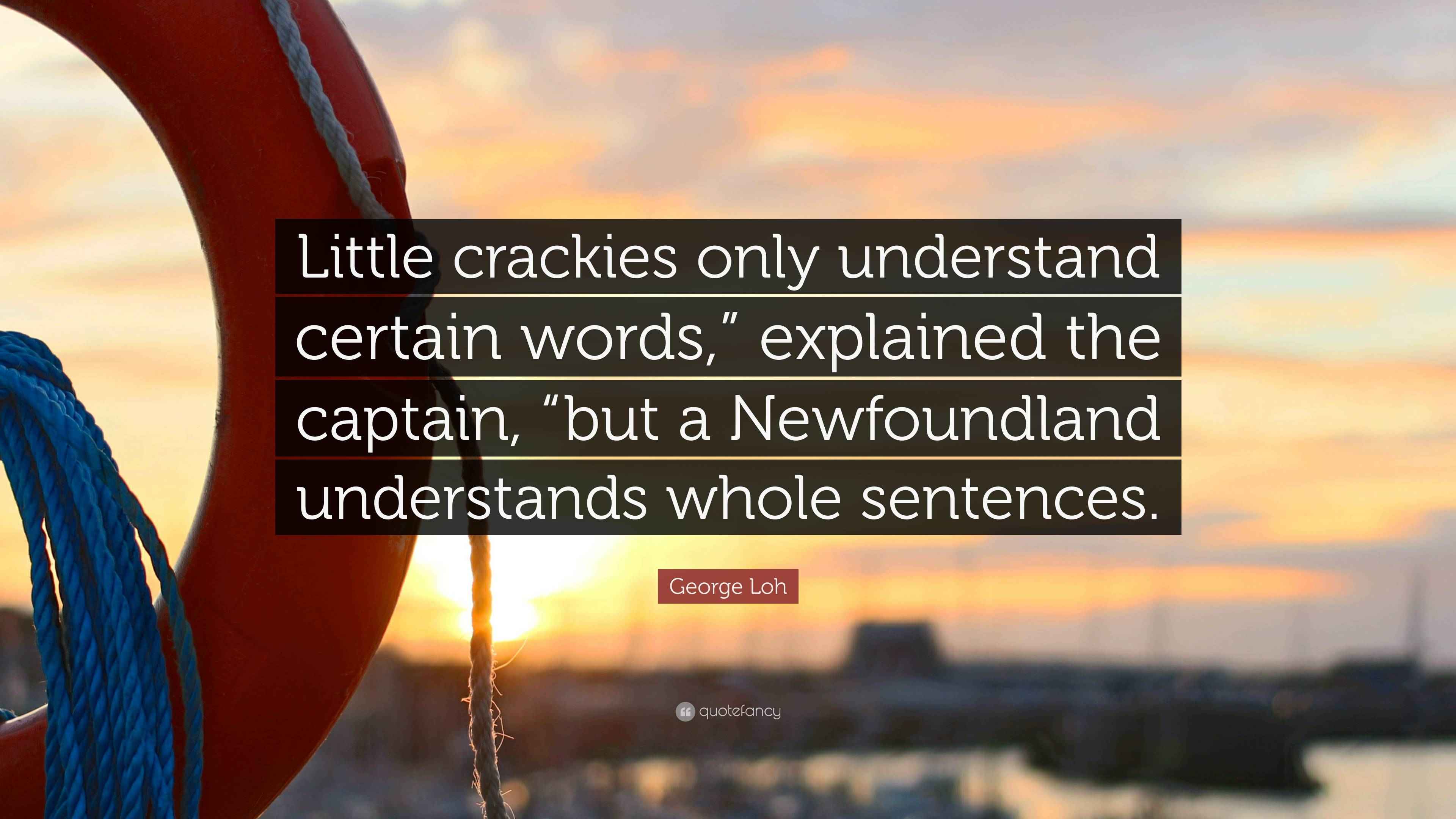 George Loh Quote: “Little crackies only understand certain words ...