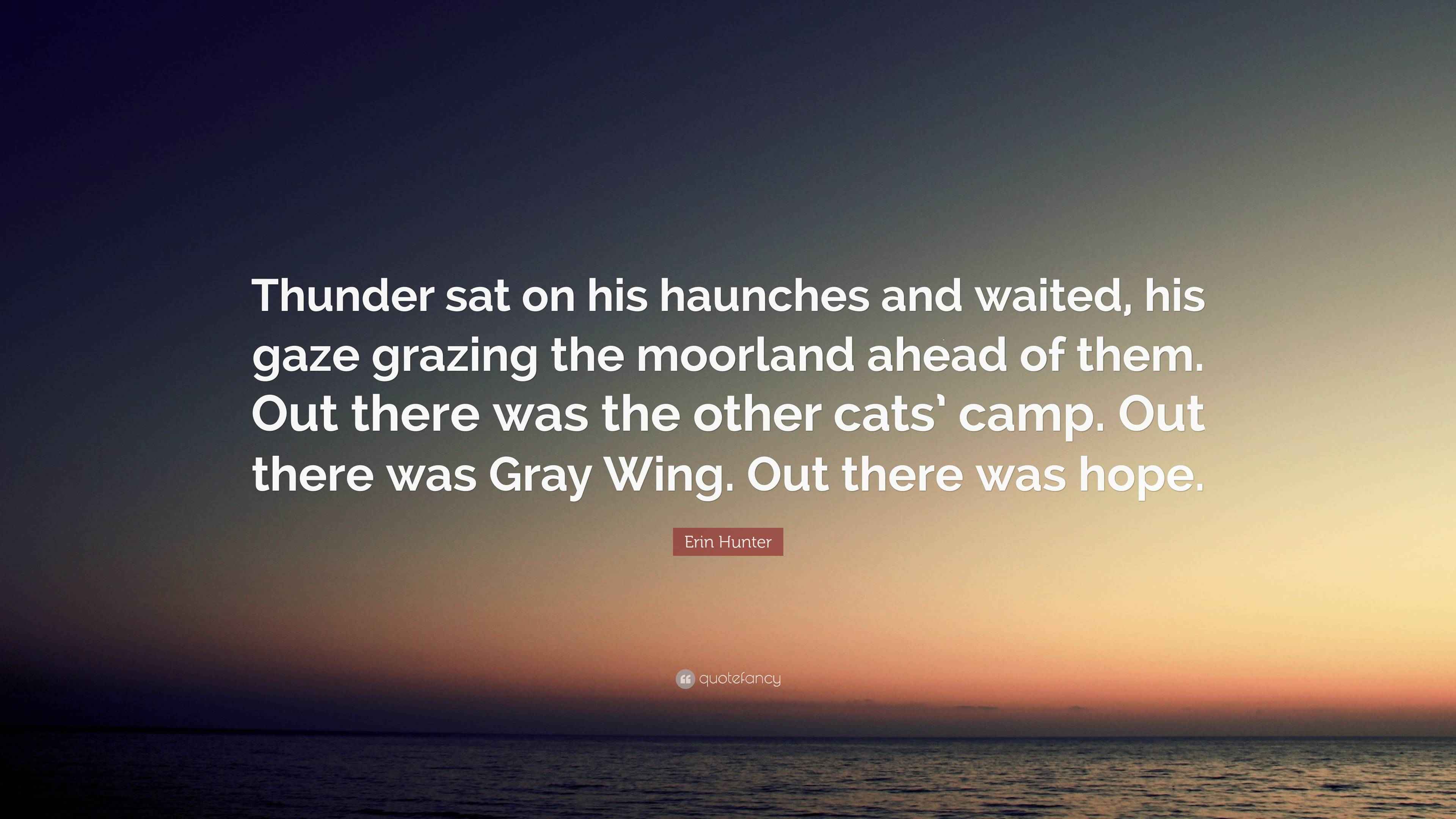 Erin Hunter Quote: “Thunder sat on his haunches and waited, his gaze ...