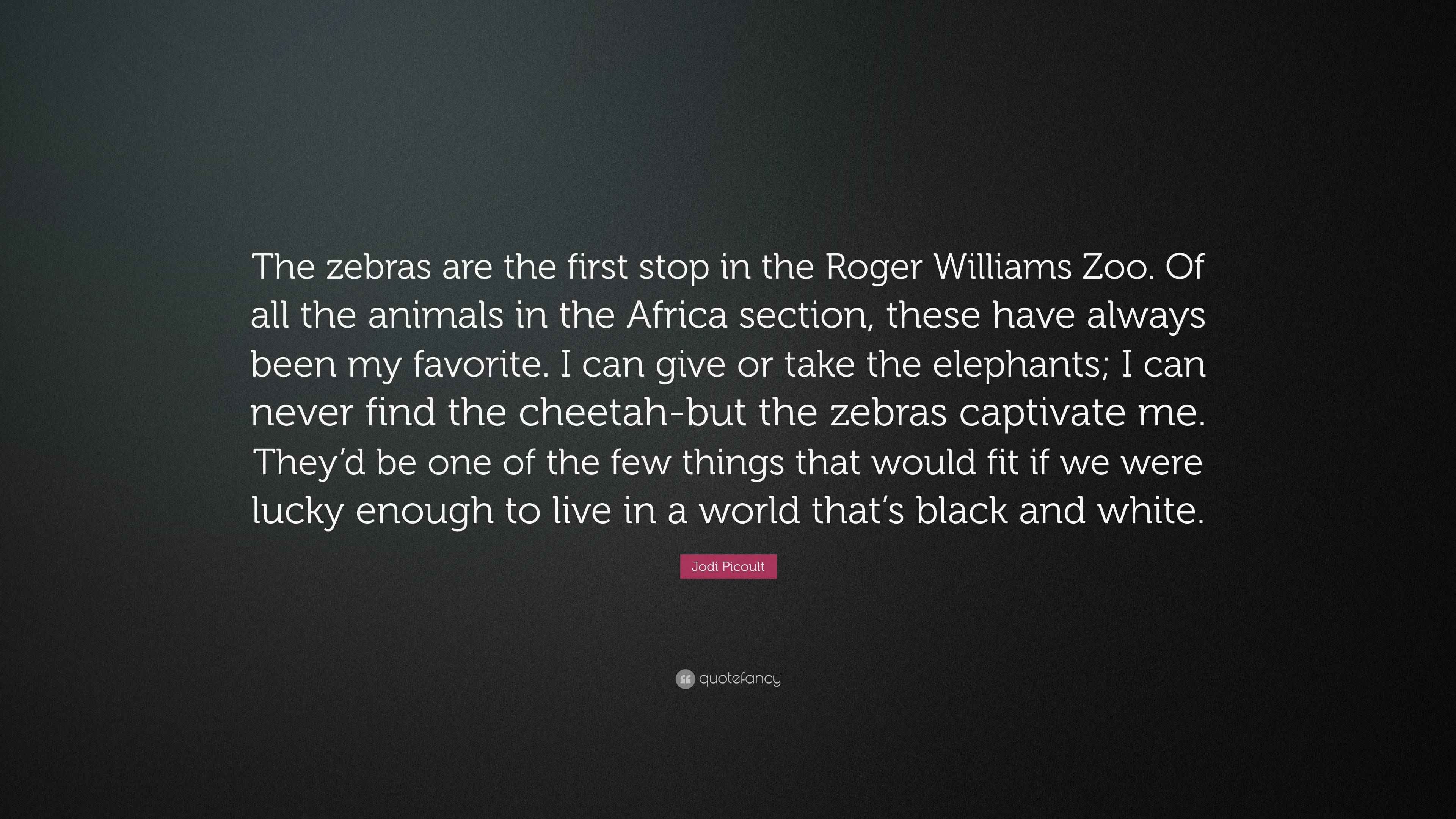 Jodi Picoult Quote: “The zebras are the first stop in the Roger ...
