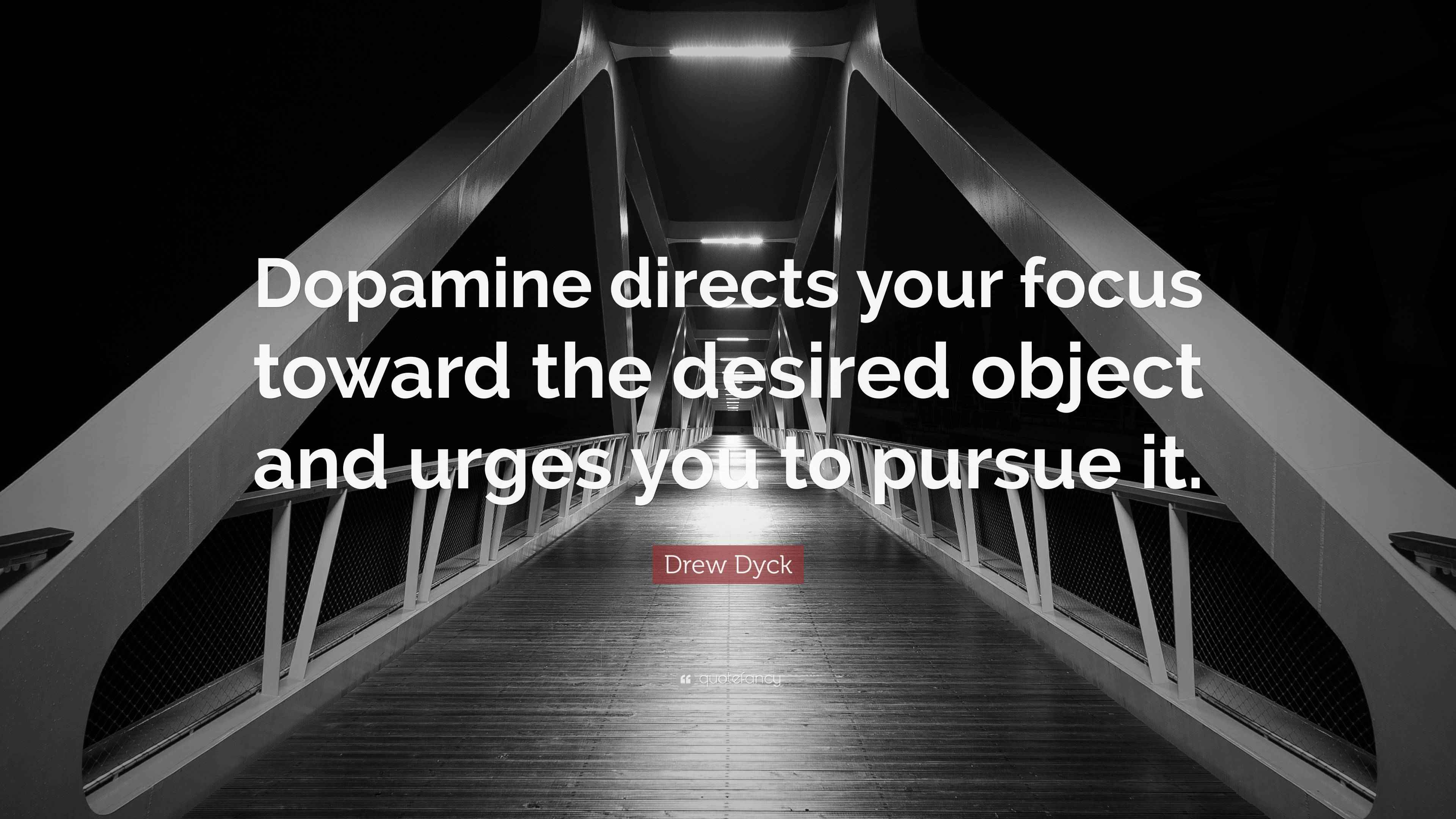 Drew Dyck Quote: “Dopamine directs your focus toward the desired object ...